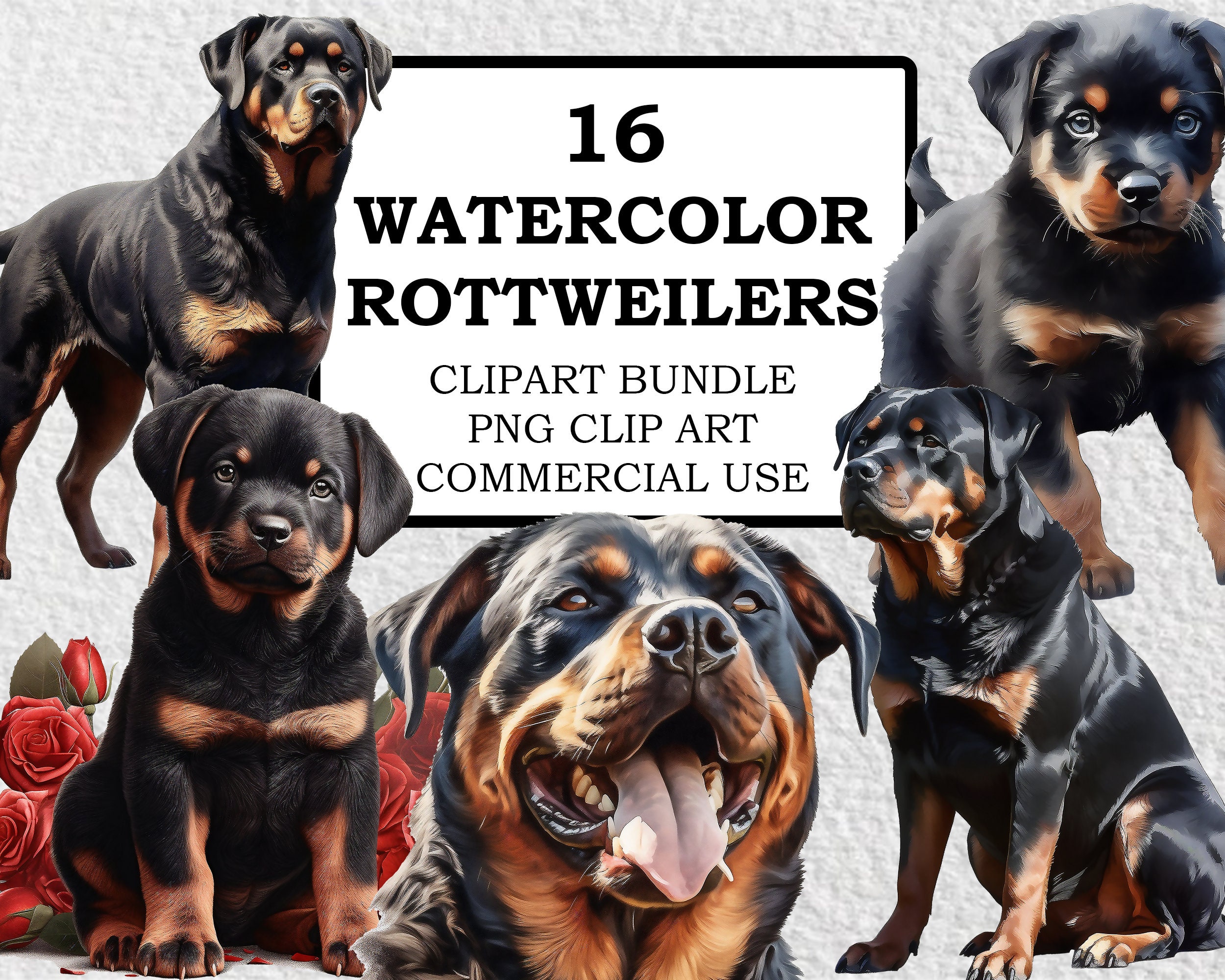 Rottweiler Clipart, Rottweiler PNG, Watercolor Rottweiler Clip Art PNG ...