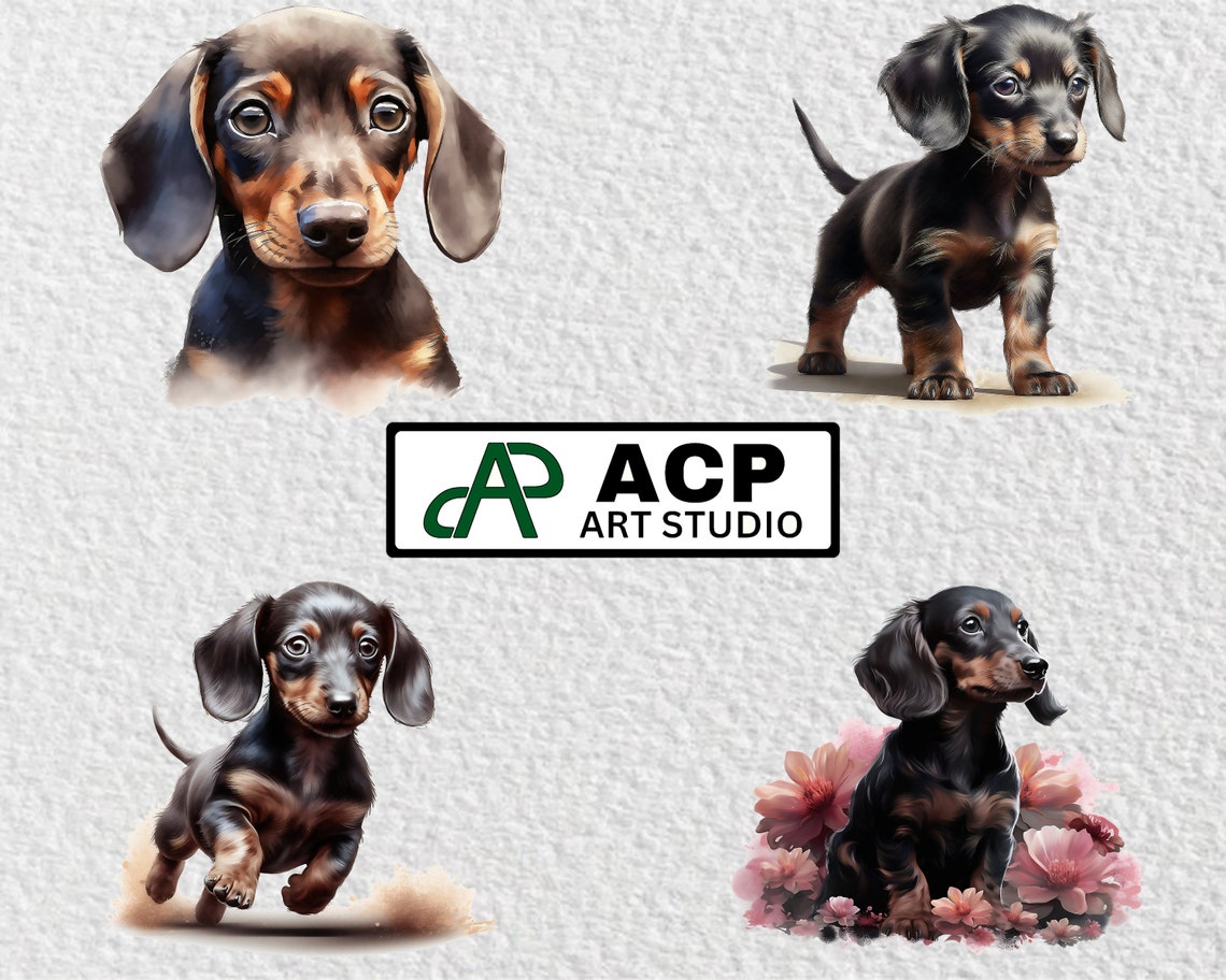 Dachshund Clipart Dachshund PNG Watercolor Dachshunds Clip - Etsy
