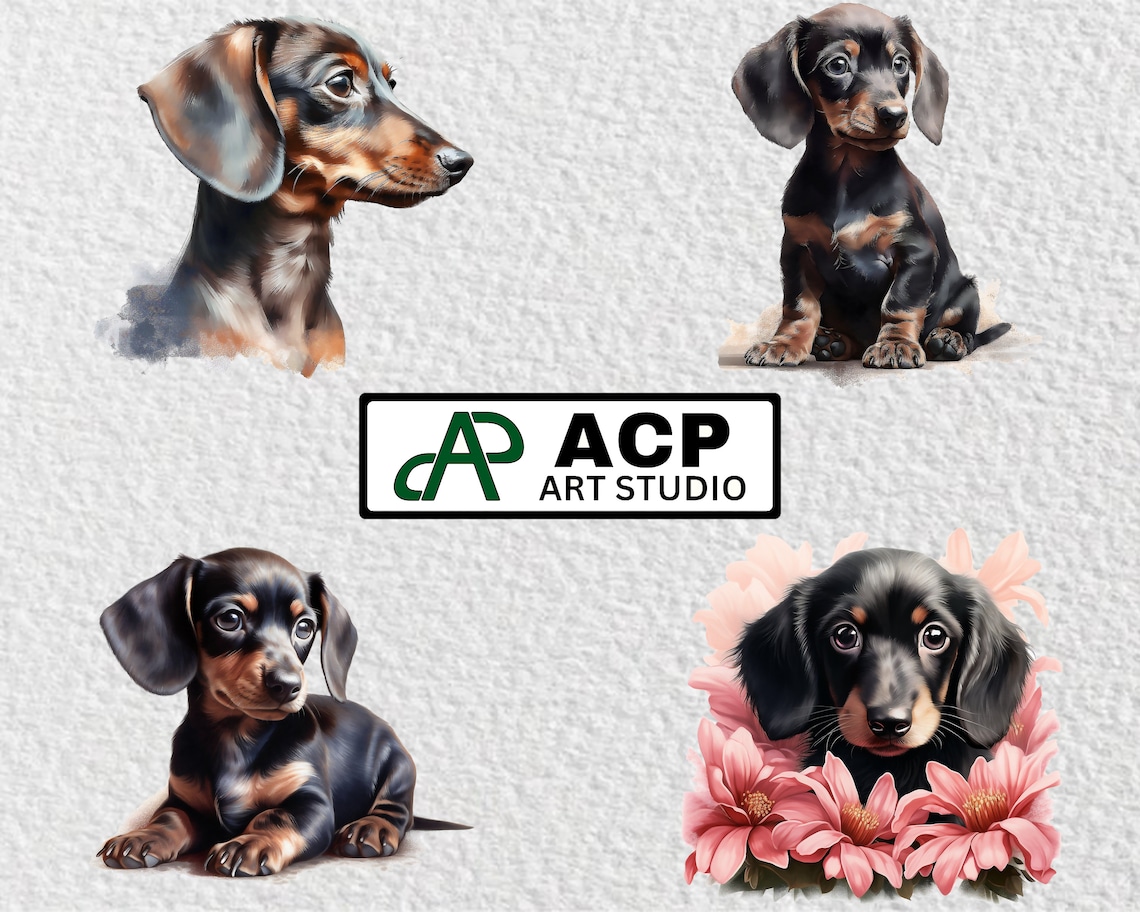 Dachshund Clipart Dachshund PNG Watercolor Dachshunds Clip - Etsy