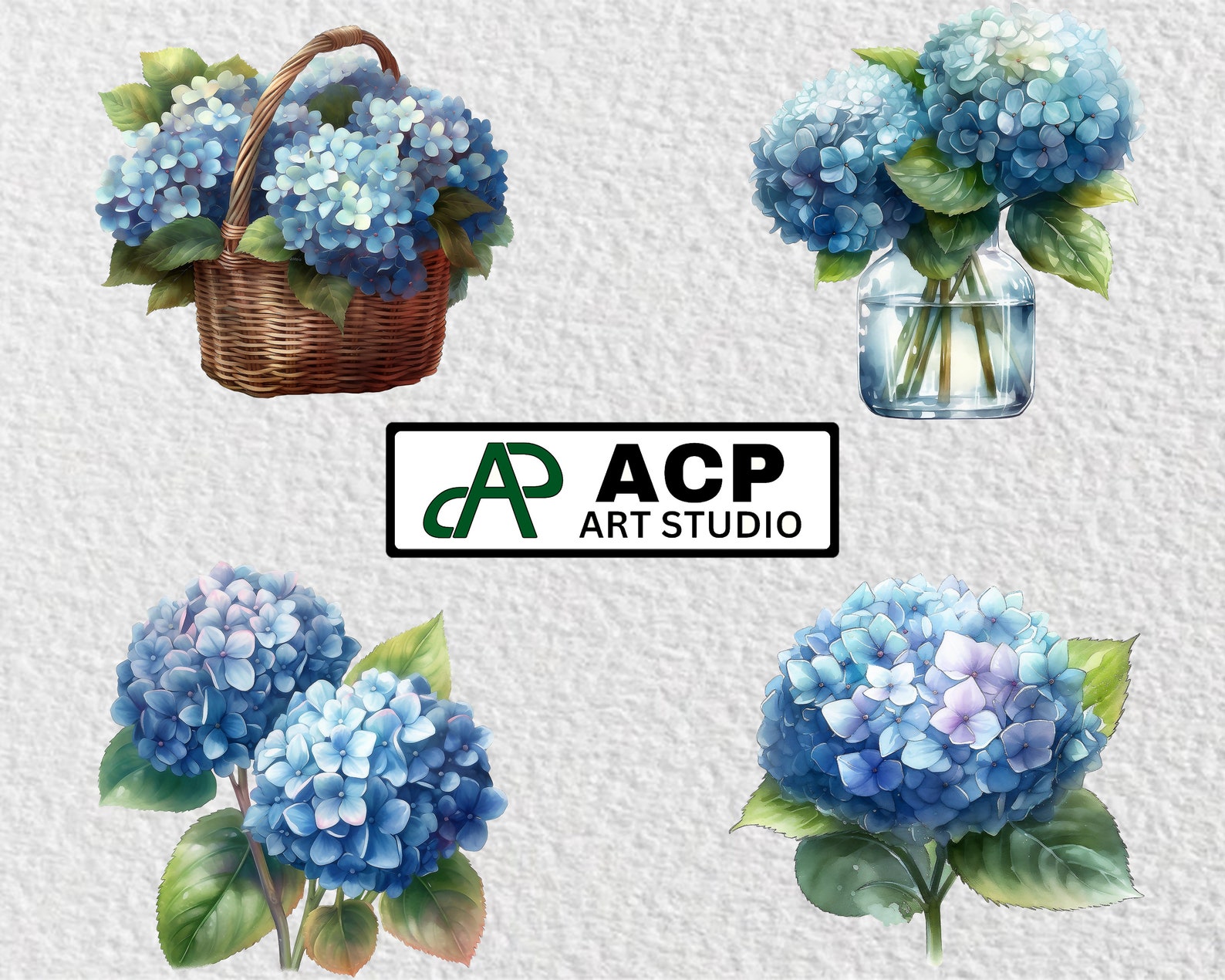 Hydrangea Clipart, Hydrangea PNG, Watercolor Hydrangeas Clip Art ...