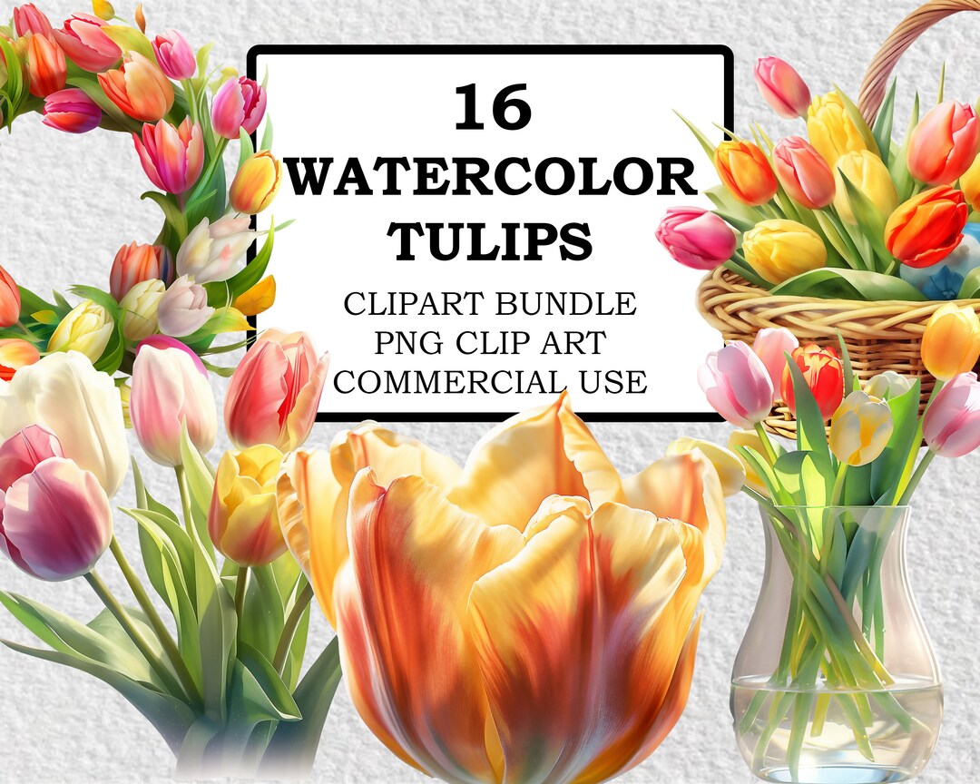 Tulip Clipart Tulip PNG Watercolor Tulips Clip Art - Etsy Canada