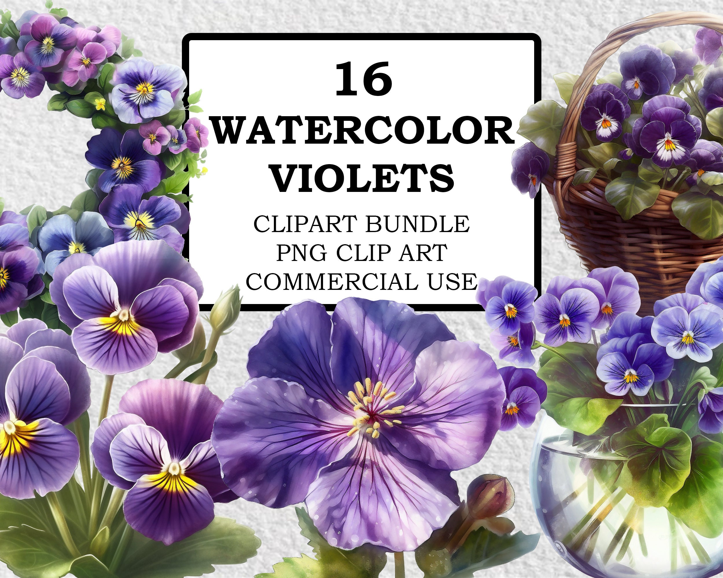 Violets Clipart Violets PNG Watercolor Violets Clip Art - Etsy