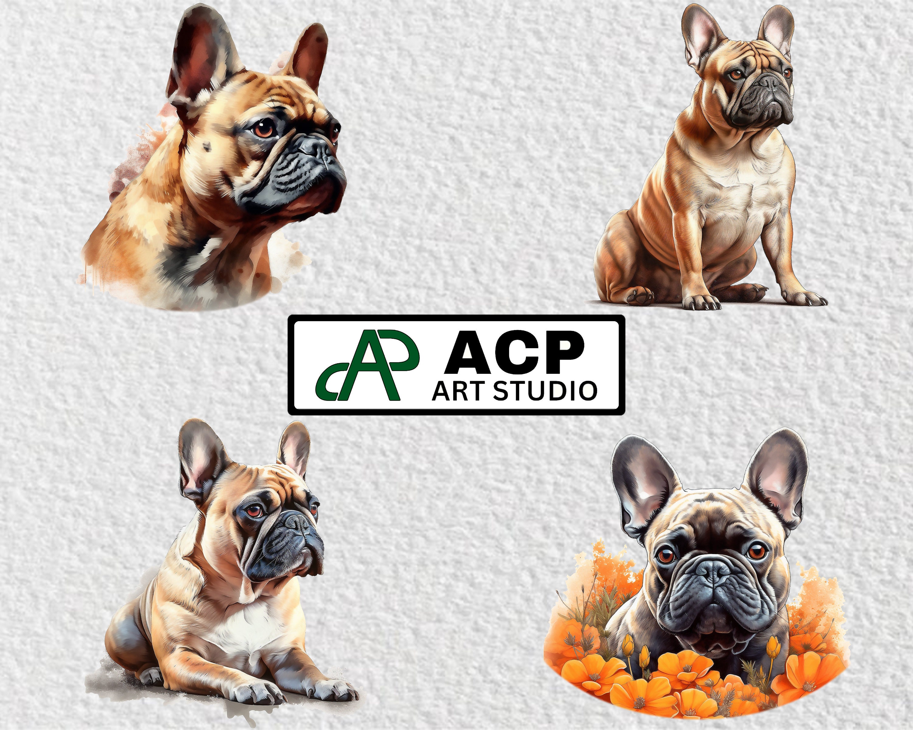 French Bulldog Clipart French Bulldog PNG Watercolor French - Etsy