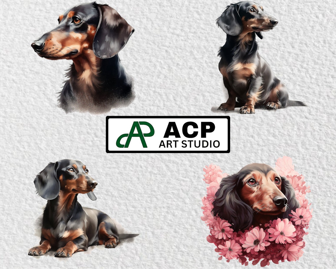 Dachshund Clipart Dachshund PNG Watercolor Dachshunds Clip - Etsy