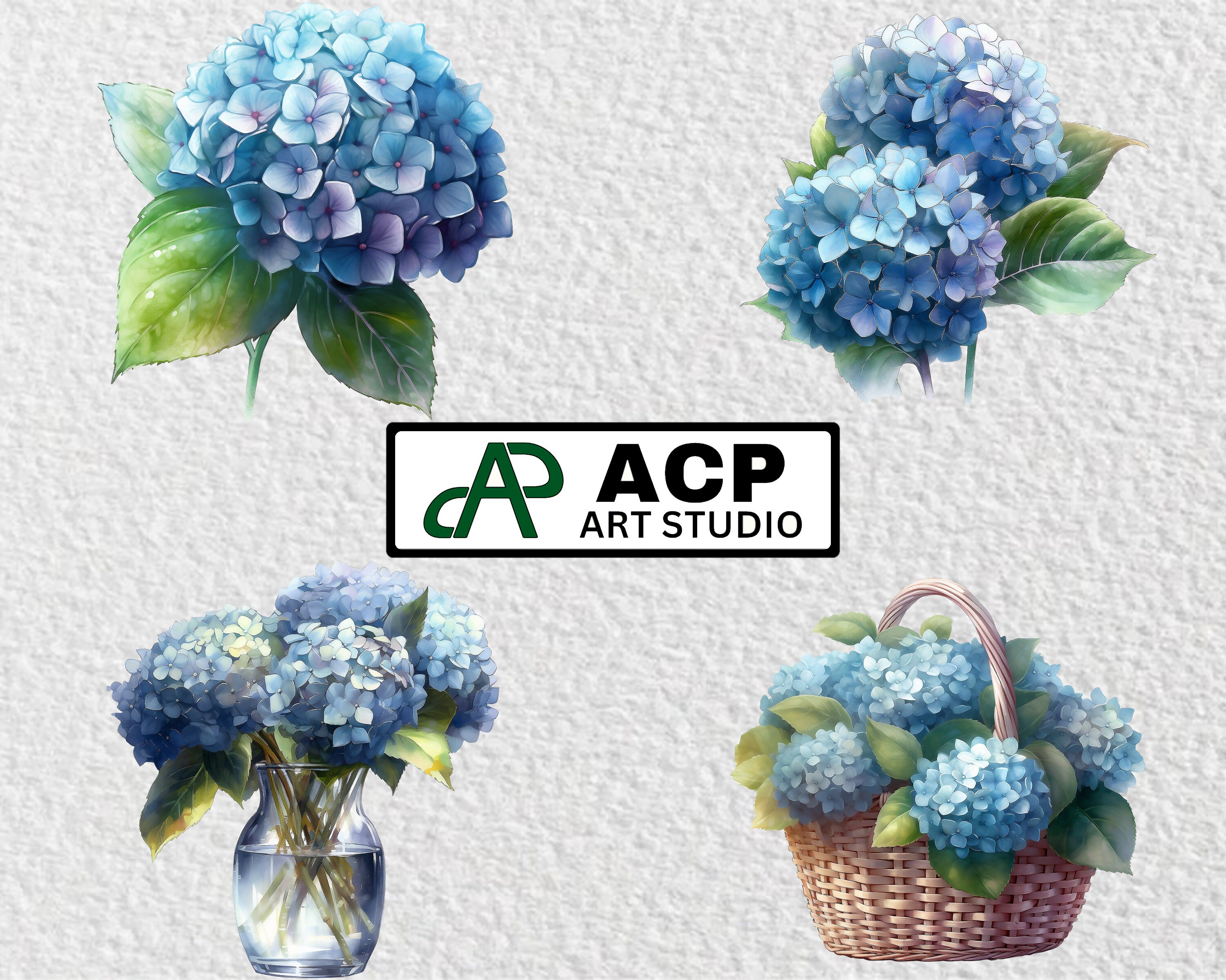 Hydrangea Clipart, Hydrangea PNG, Watercolor Hydrangeas Clip Art ...