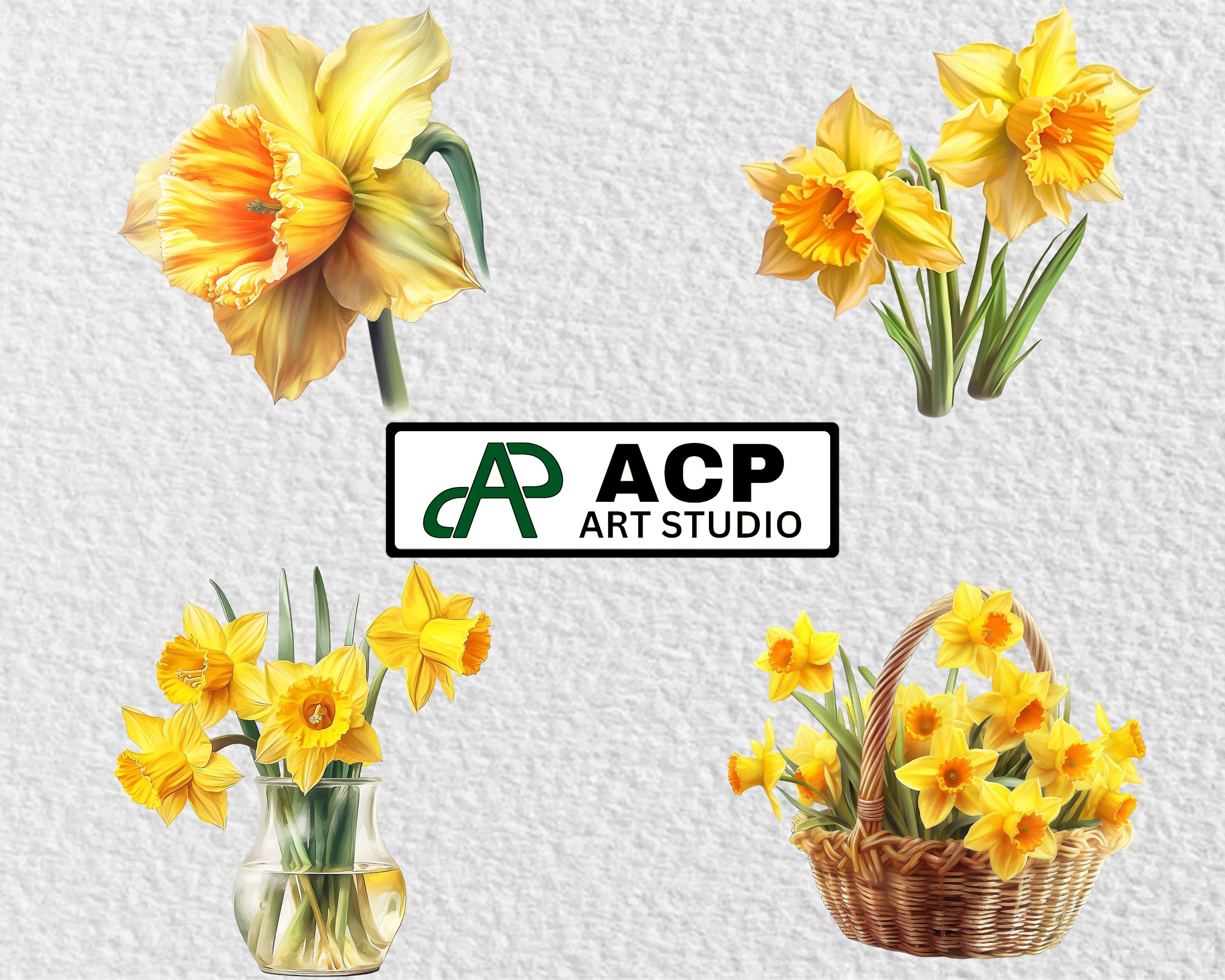 Daffodil Clipart, Daffodil PNG, Watercolor Daffodils Clip Art ...