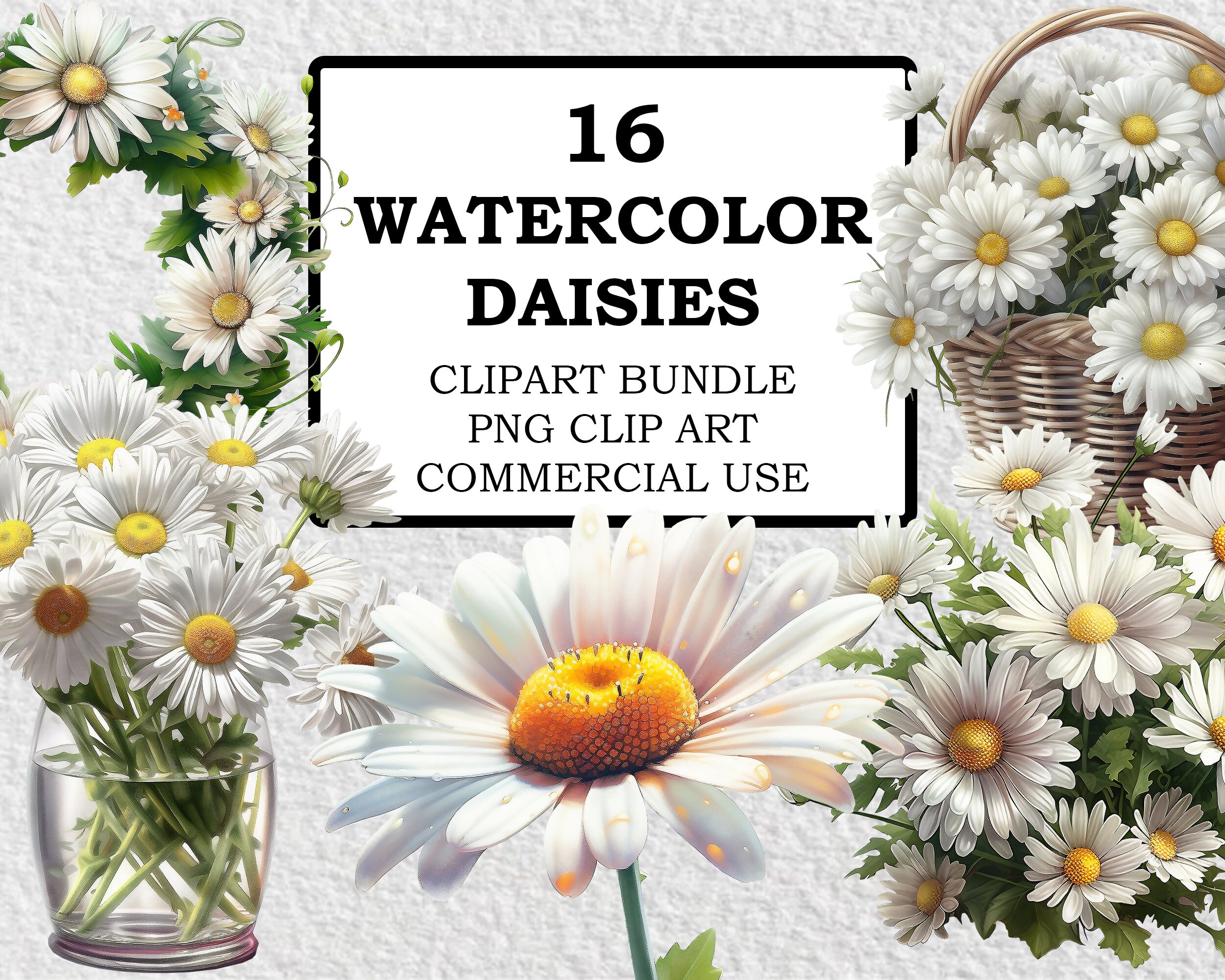 Daisy Clipart Daisy PNG Watercolor Daisies Clip Art - Etsy