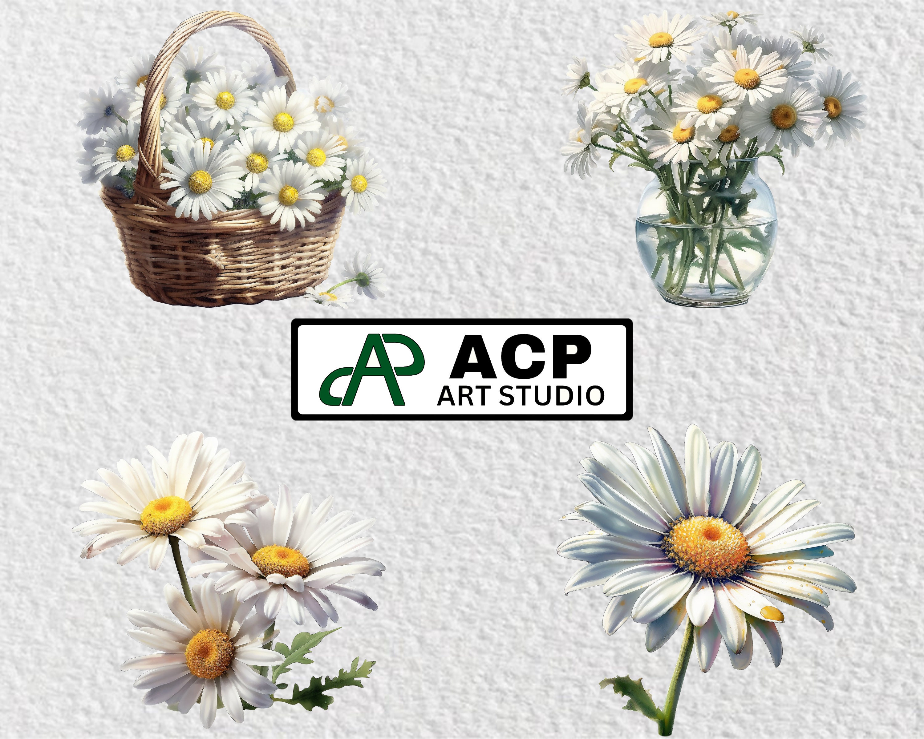 Daisy Clipart Daisy PNG Watercolor Daisies Clip Art - Etsy