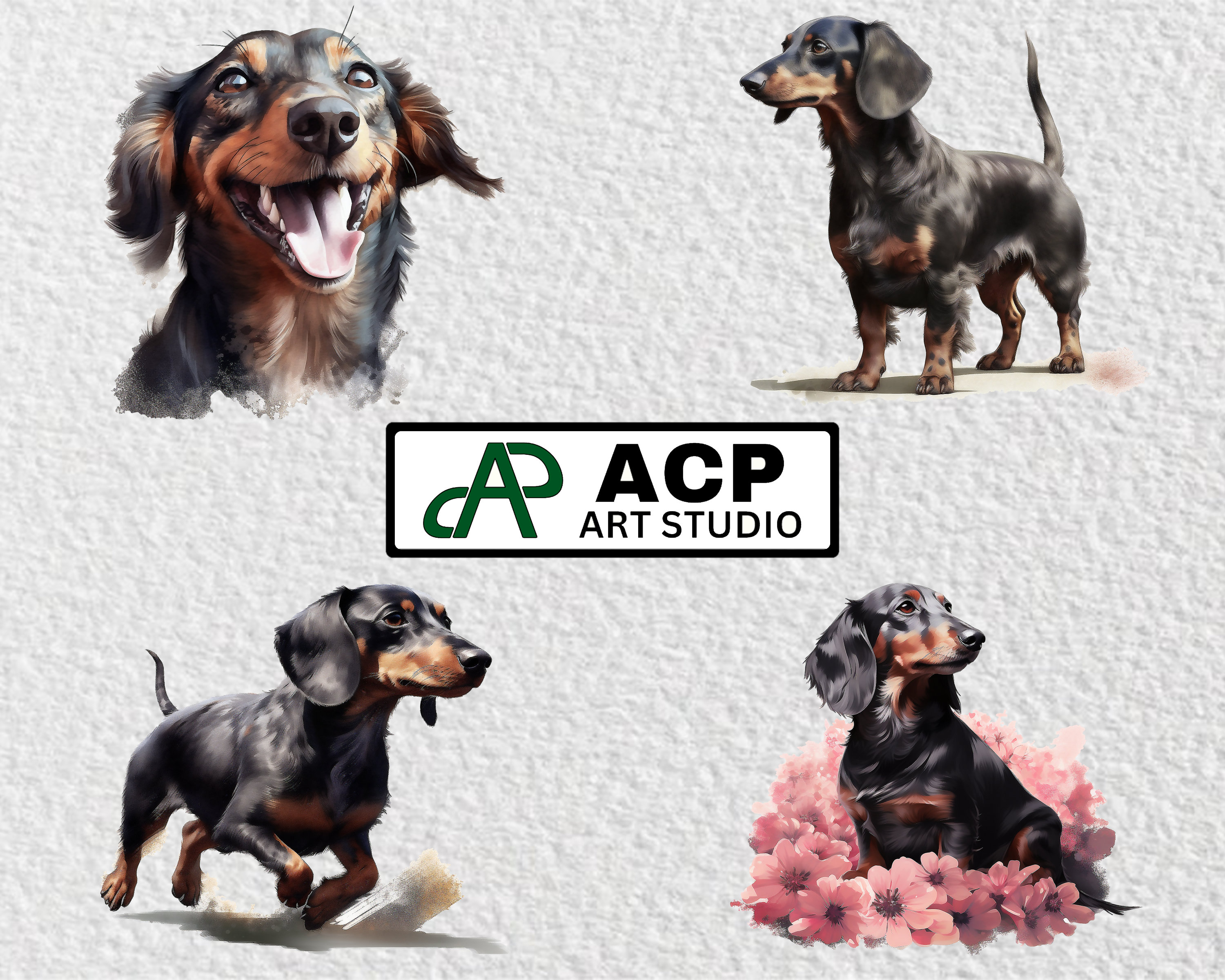 Dachshund Clipart Dachshund PNG Watercolor Dachshunds Clip - Etsy