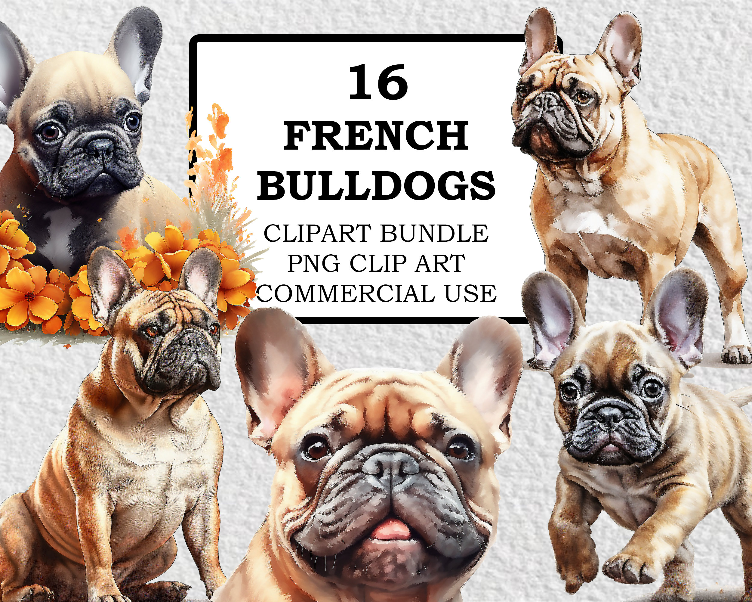 French Bulldog Clipart French Bulldog PNG Watercolor French - Etsy