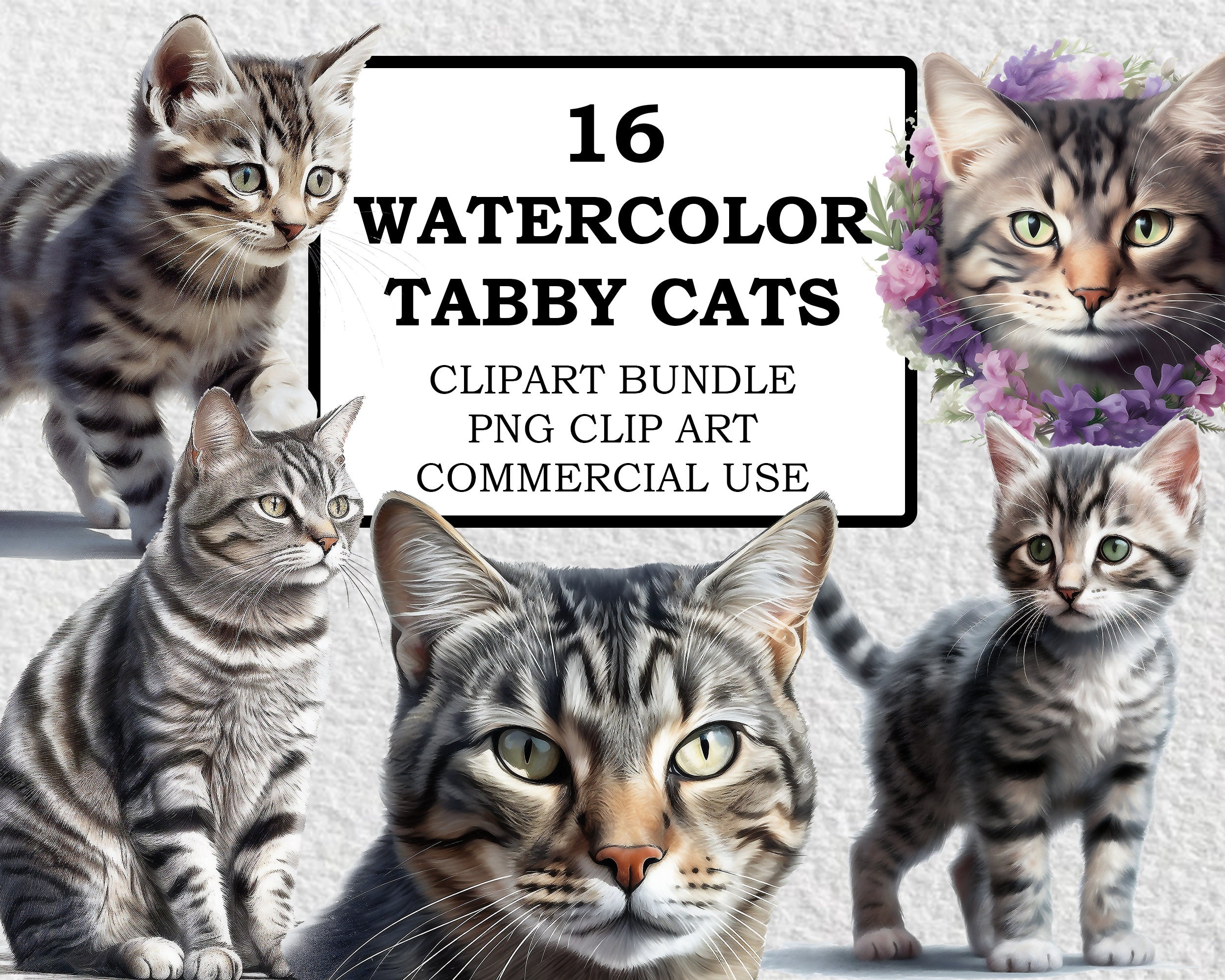 Tabby Cat Clipart Tabby Cat Png Watercolor Tabby Cat Clip Etsy