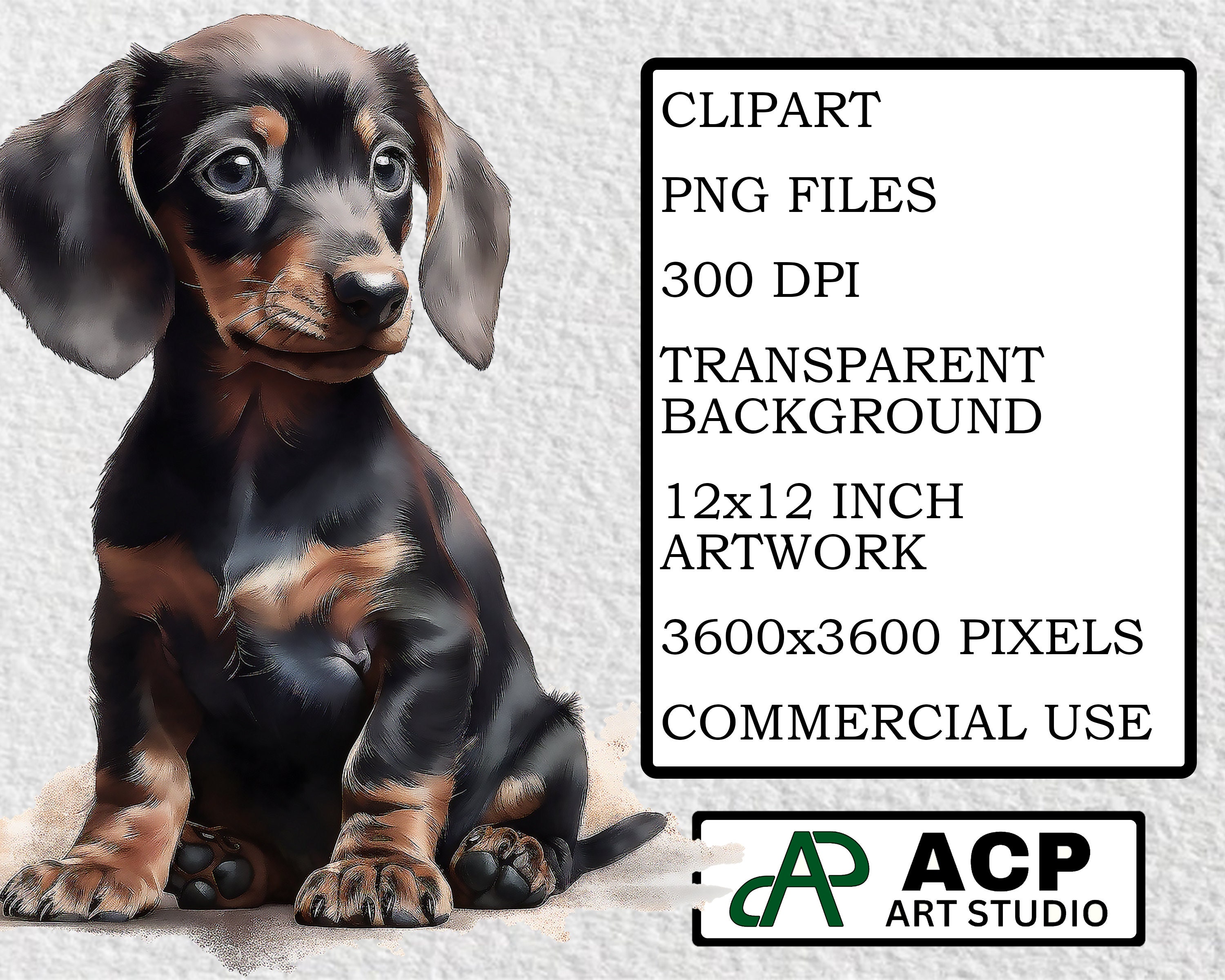 Dachshund Clipart Dachshund PNG Watercolor Dachshunds Clip - Etsy