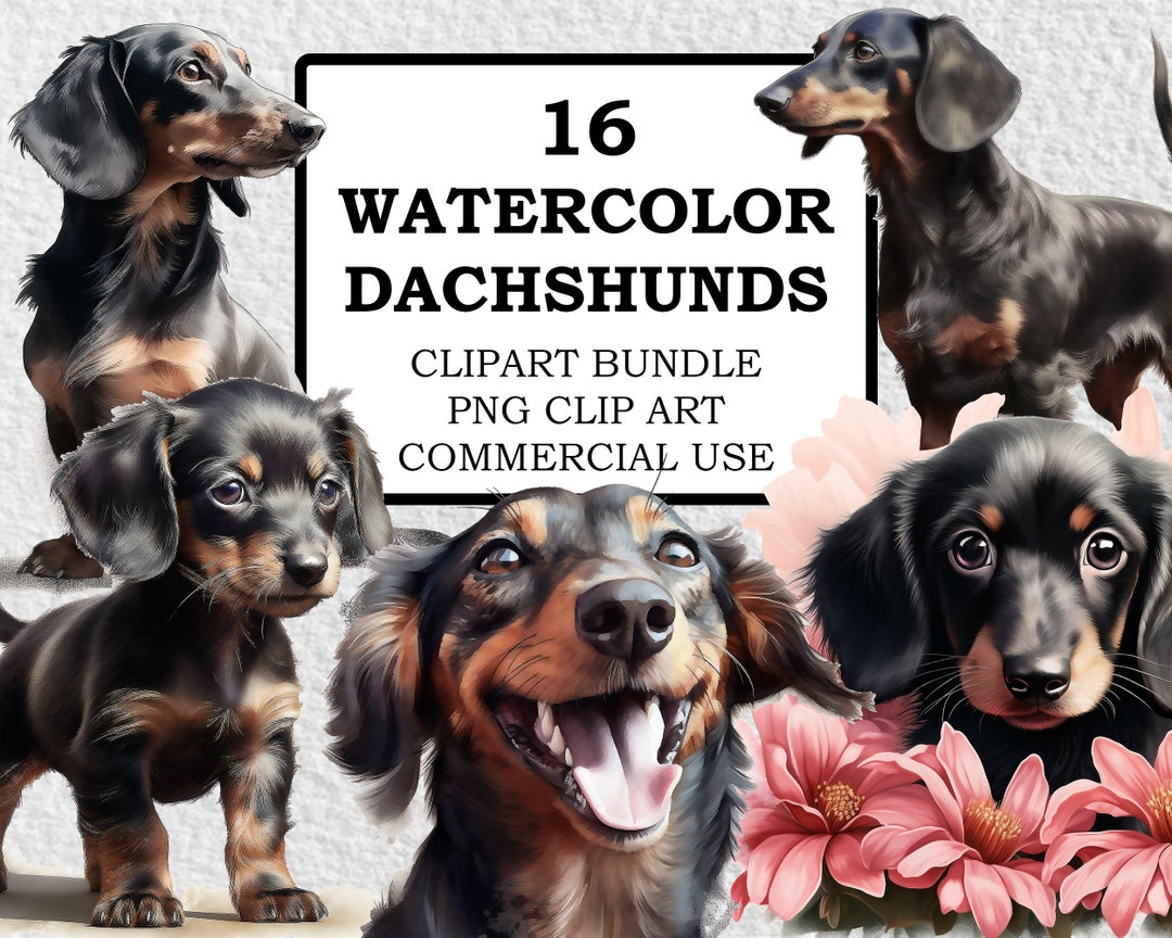 Dachshund Clipart Dachshund PNG Watercolor Dachshunds Clip - Etsy