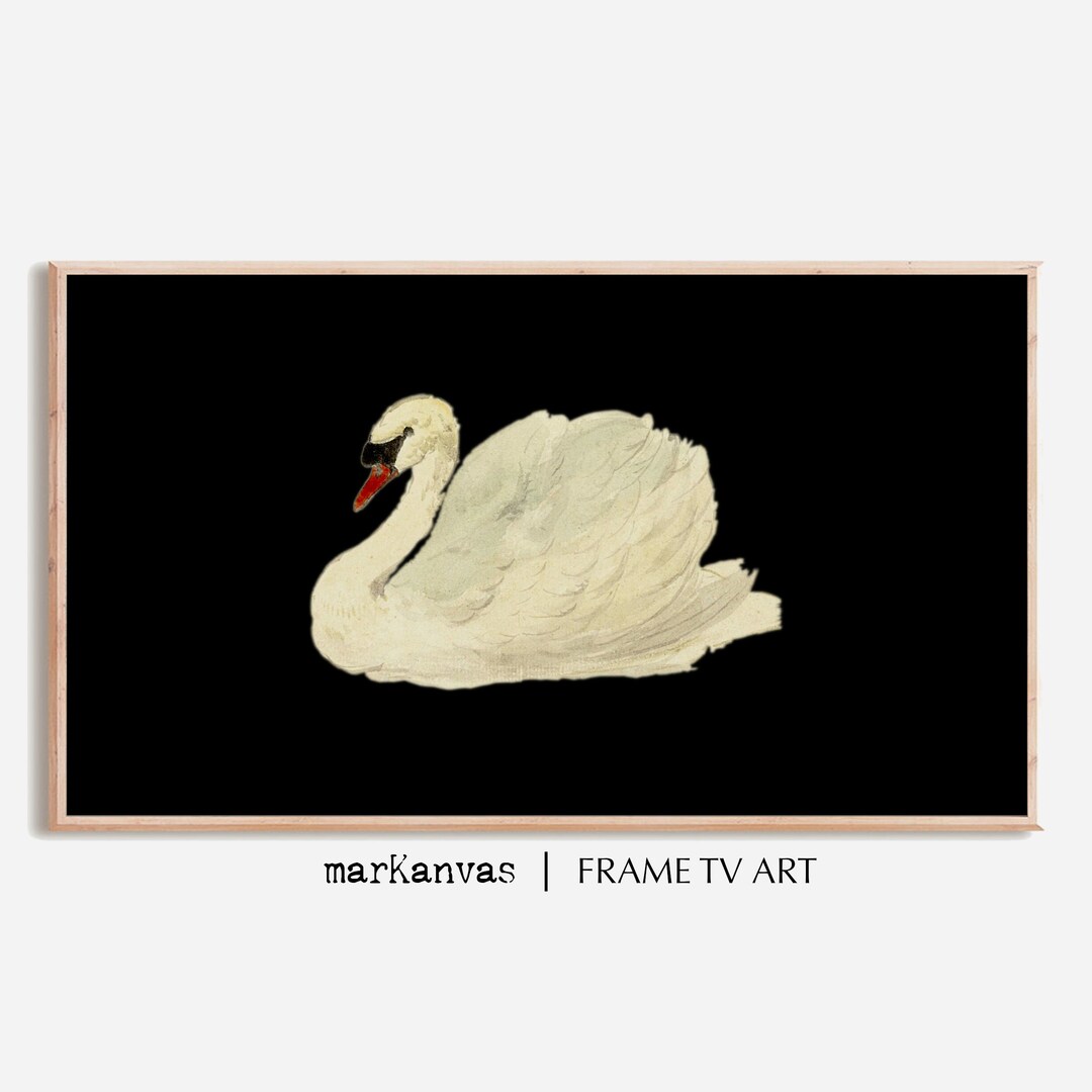 Swan Art Tv, Gifts for Girls, Instant DOWNLOAD, Digital Art for Tv ...
