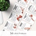 Printable Labor Positions Flashcards, Childbirth Education Tool ...