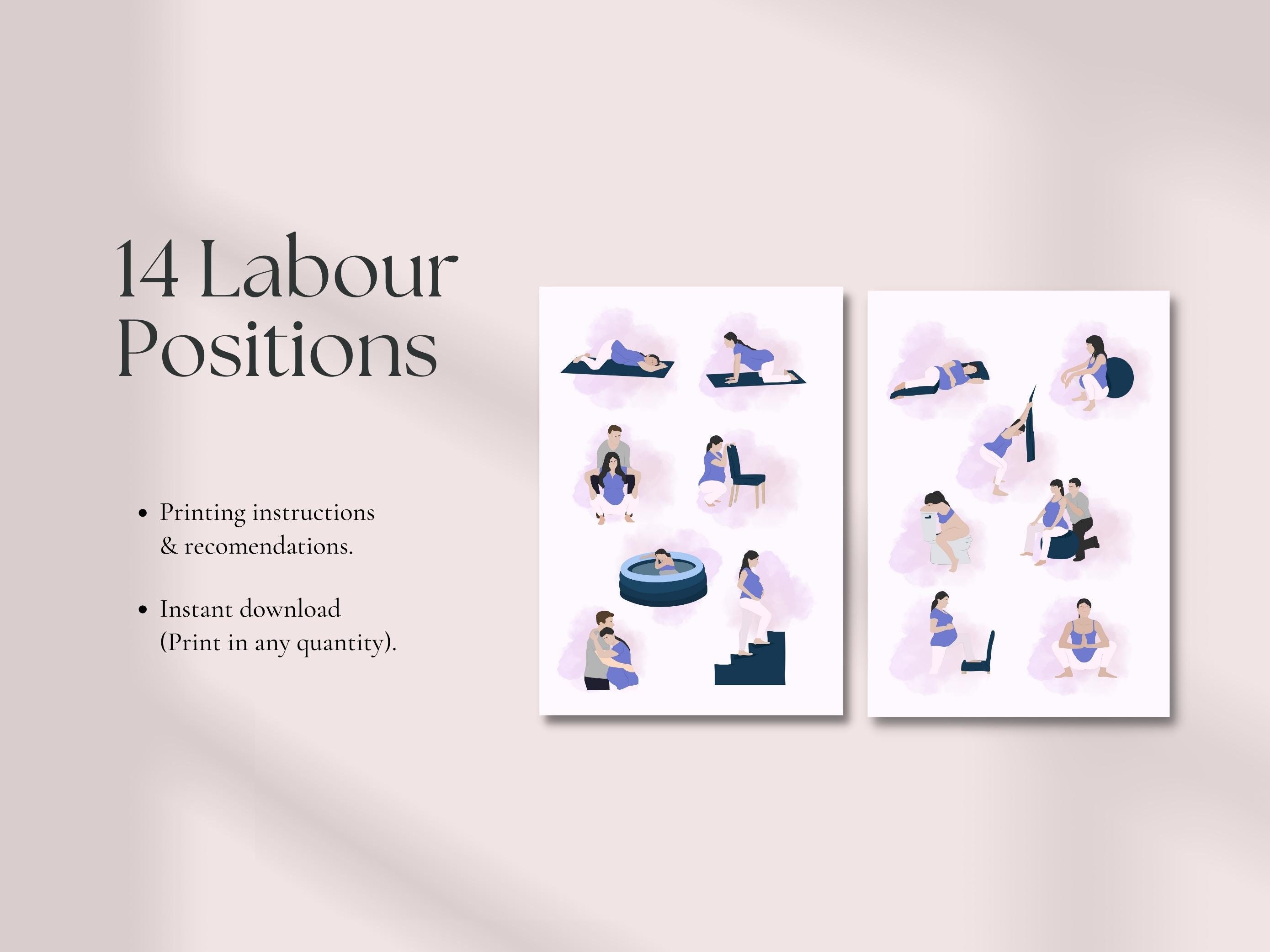 Birth and Delivery Positions Posters Childbirth Education Birth ...