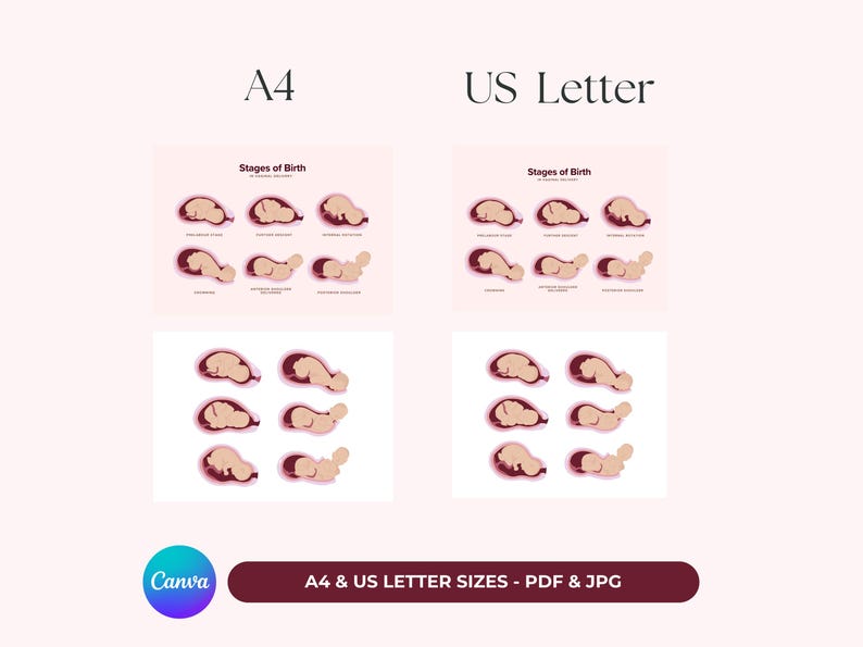 Mechanism of Labour Stages of Birth Digitals | PNG Images & Canva | PDF ...