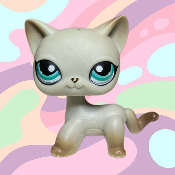 Littlest Pet Shop Orange Cat - Etsy