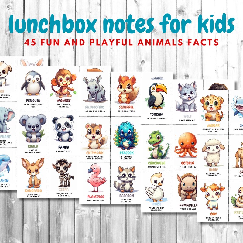Lunch Box Cards - Etsy