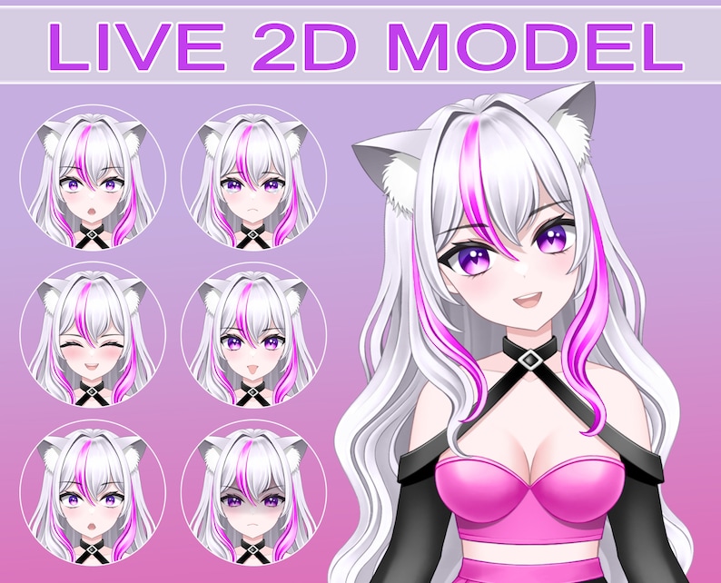 Premade Vtuber Model, Live2d Model, Vtuber Commission, Vtuber Rigging ...