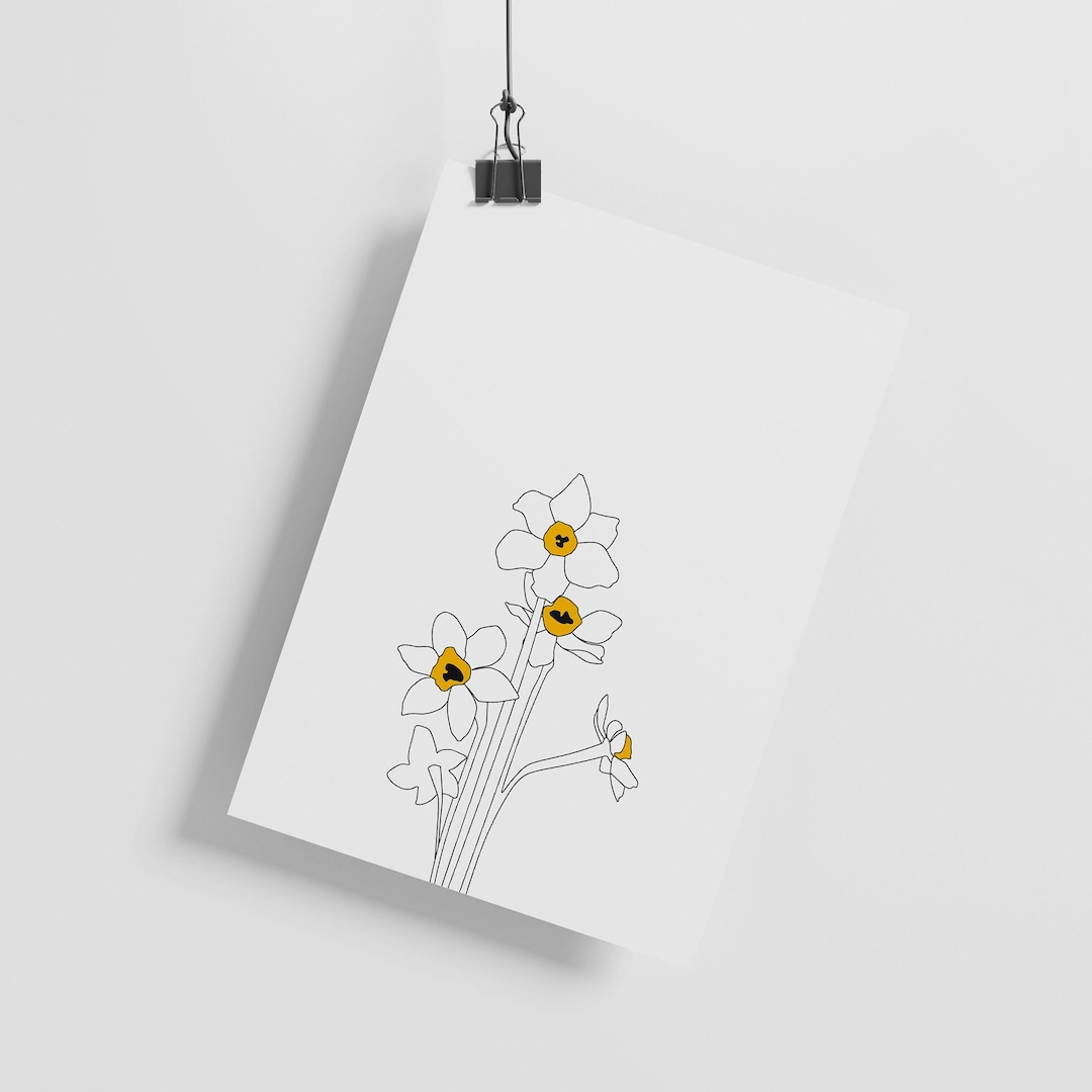 Nergiz Flower گولی نێرگز, Narcissus Flower, Gulli Nergiz, Nergiz ...