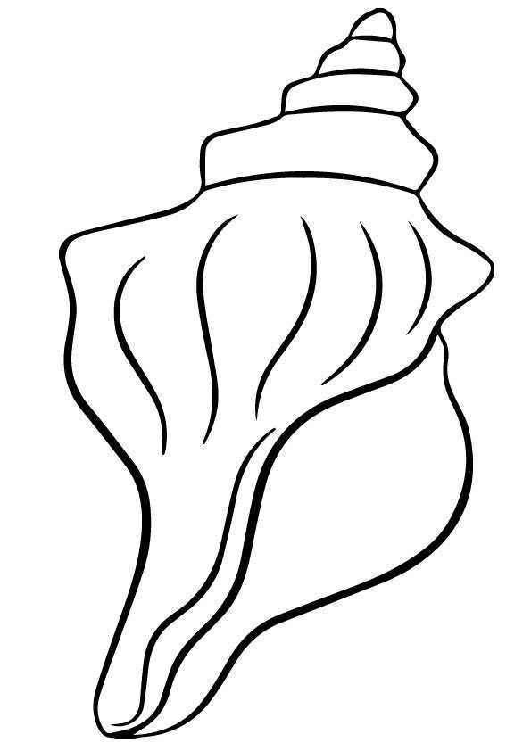 Horse Conch Shell Clip Art SVG - Etsy