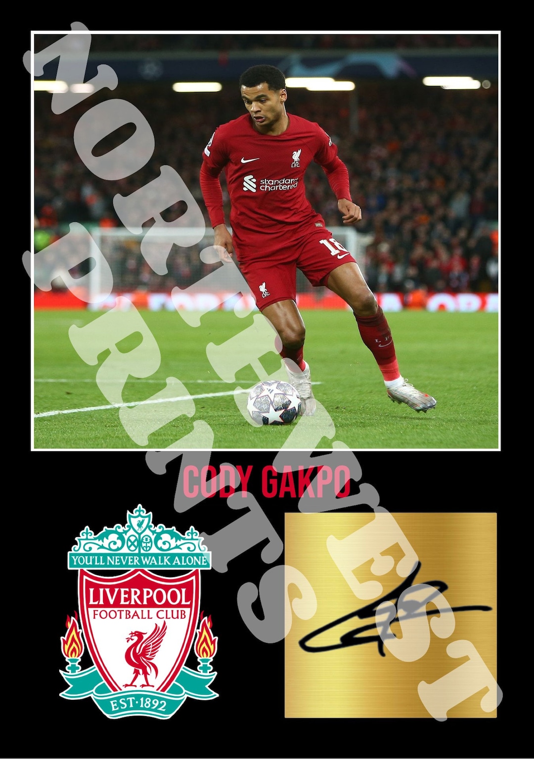 Liverpool FC Cody Gakpo Signed A4 Print Autographed LFC - Etsy