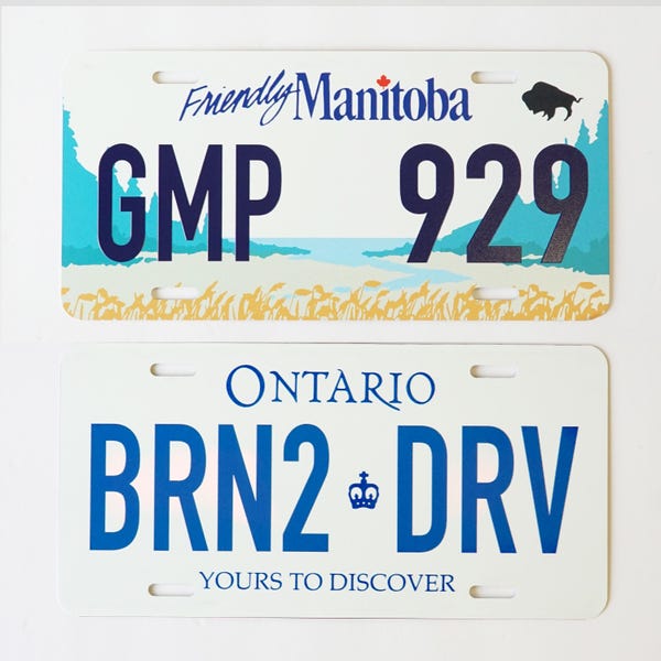 License Plate Art - Etsy Canada