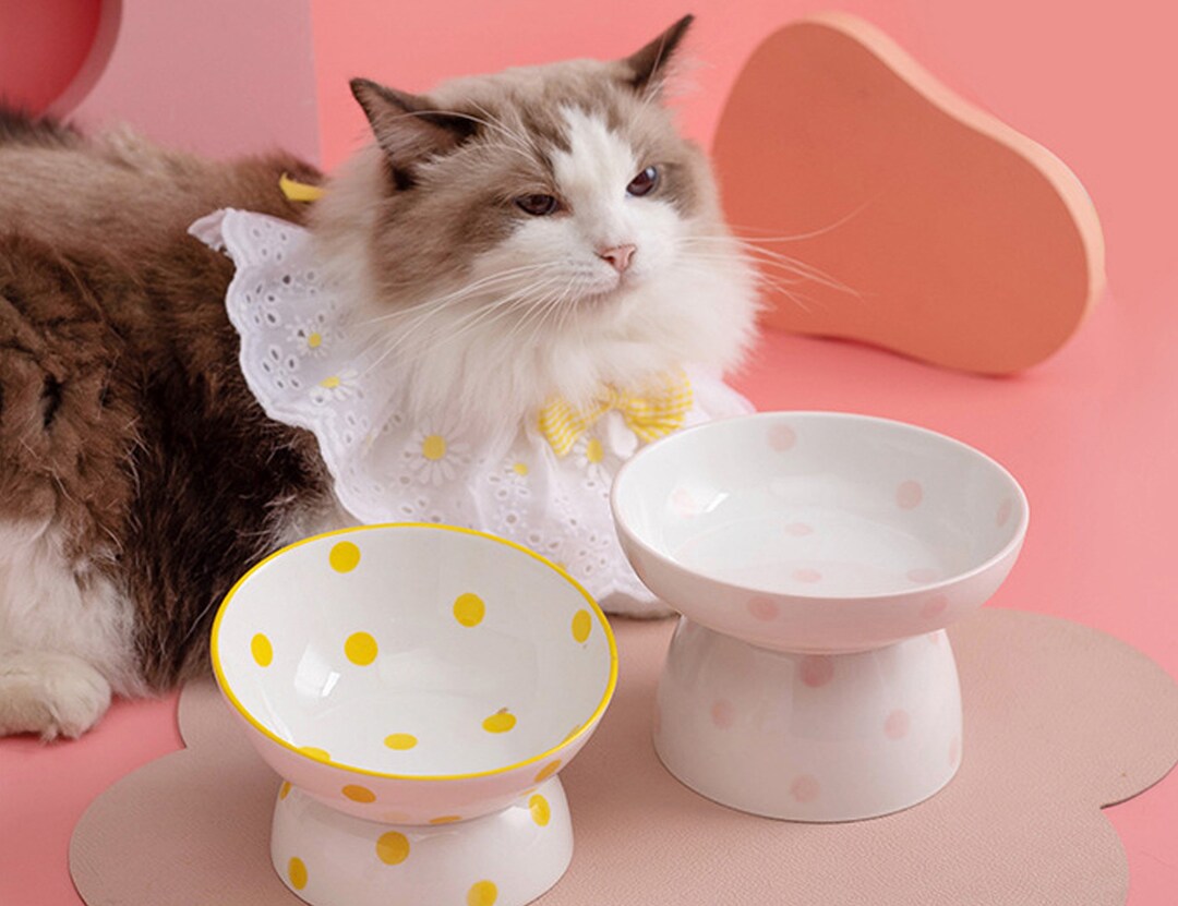 Pet Food Dish Pet Food Feeder Cat Food Stand Cat Bowl - Etsy