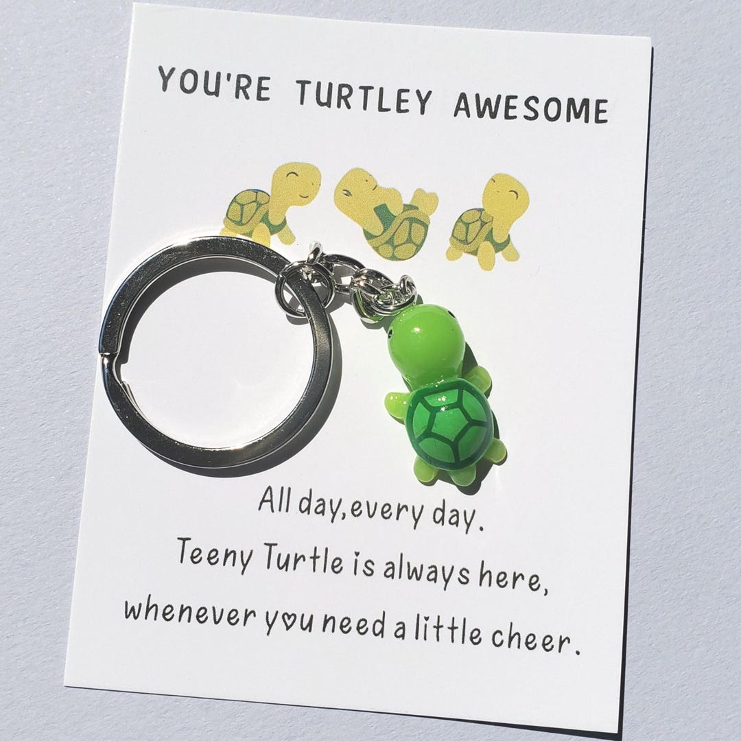 Emotional Support Turtle Gift Idea for Positive Affirmation for Friend ...
