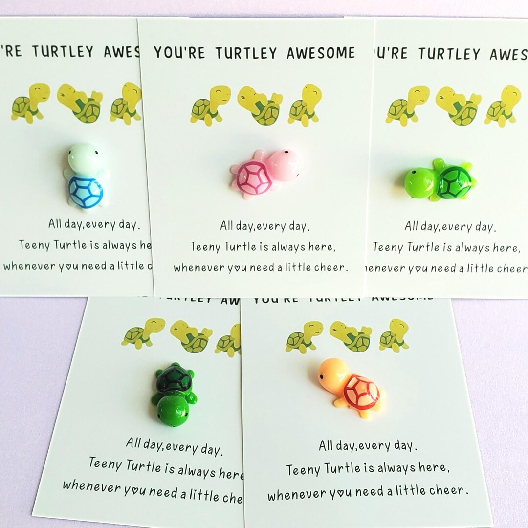 Turtle Pocket Hug Sensory Gift Idea for Party Favor Guest Gift Thinking ...