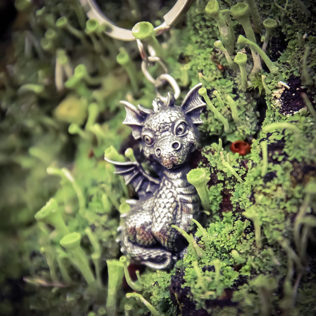 Keychain Dragonet Metal Keyring Dragon Jewelry Wilije - Etsy