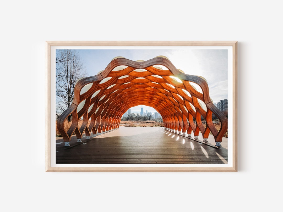 Chicago Honeycomb Structure Print: Architectural Wall Art (digital ...