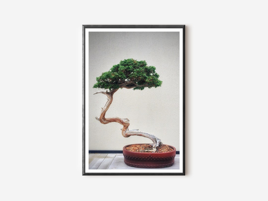 Bonsai Wall Decor Bonsai Lover Gift Nature Wall Art Decor Nature ...