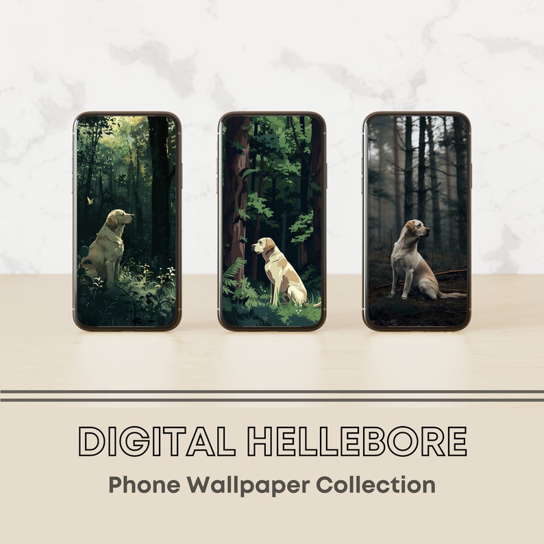 Labrador in the Forest iPhone Wallpaper iPhone Lock Screen iPhone ...