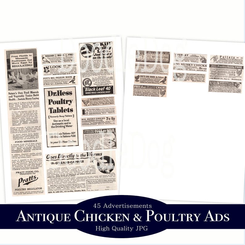 Antique Chicken Poultry Print Ads: Ephemera Collage Sheet (digital ...