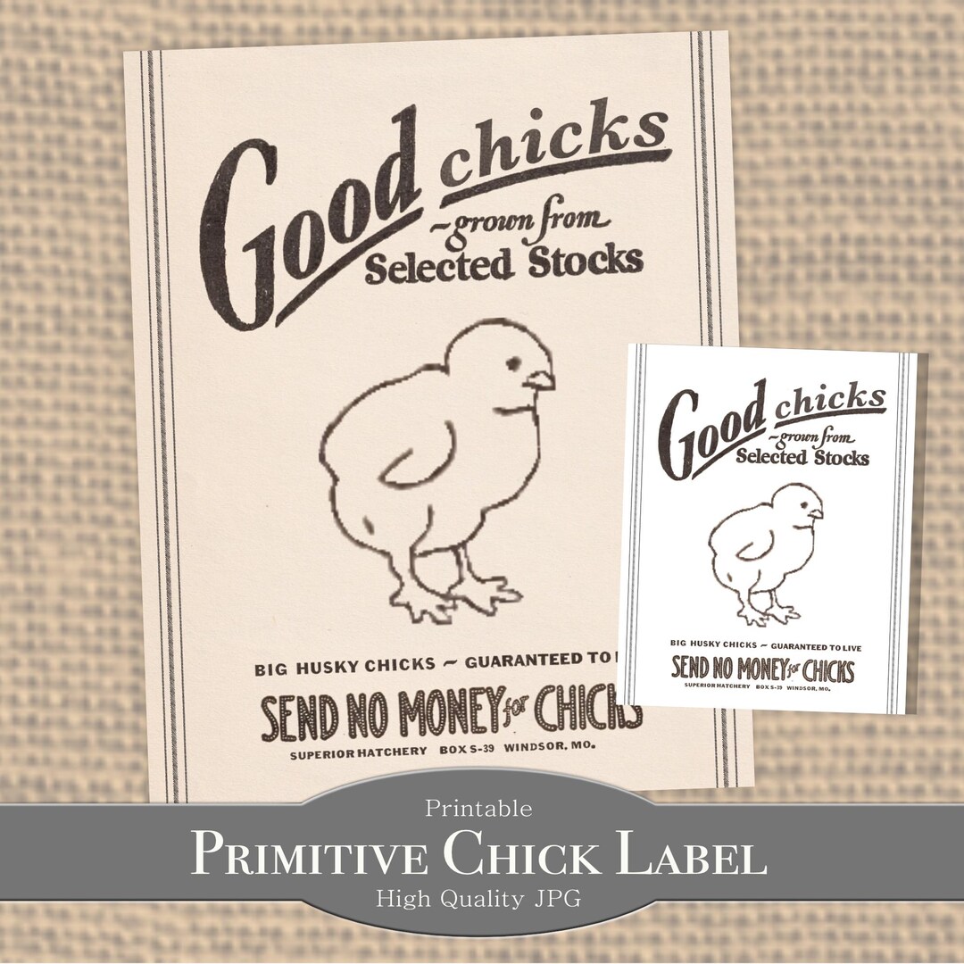 Primitive Chick Sign / Label - Digital Download - Chickens - Farmhouse ...