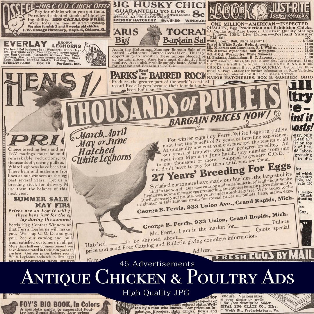 Antique Chicken & Poultry Print Ads - Junk Journal Ephemera - Digital Collage Sheet ...