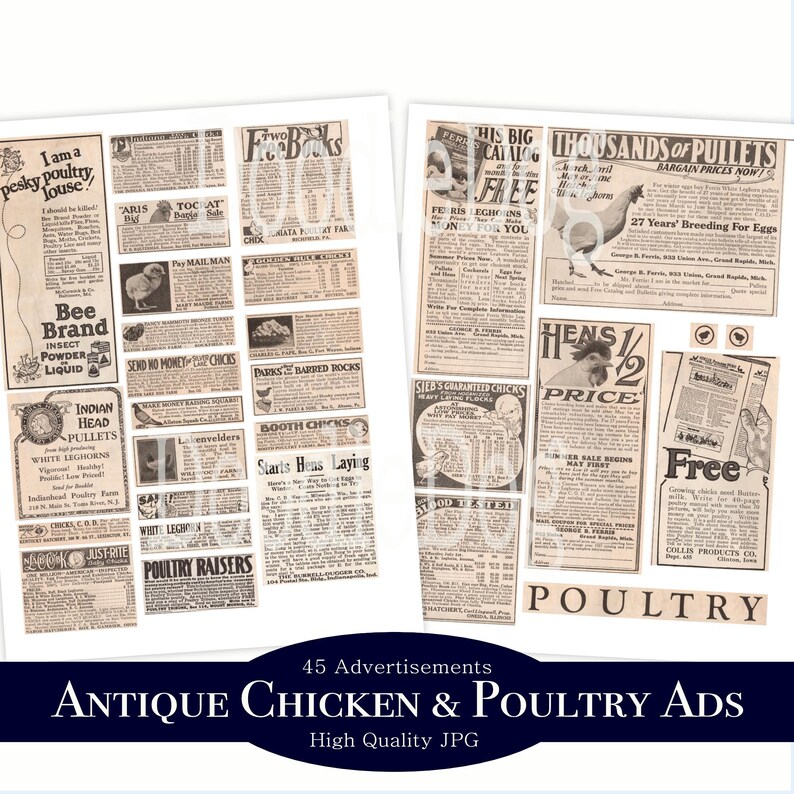 Antique Chicken & Poultry Print Ads - Junk Journal Ephemera - Digital Collage Sheet ...