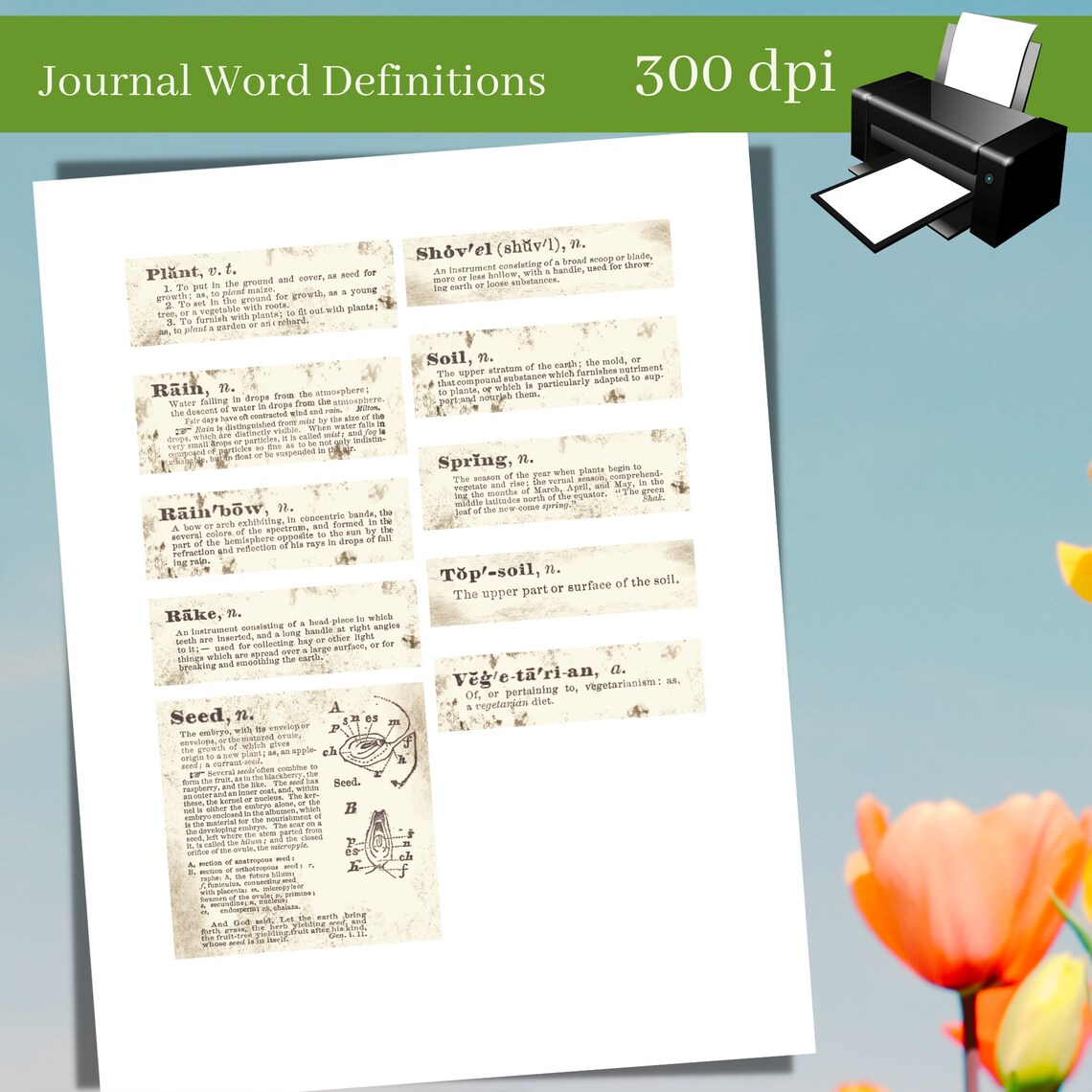 Garden Journal Words - Printable Definitions - Scrapbooking - Ephemera ...