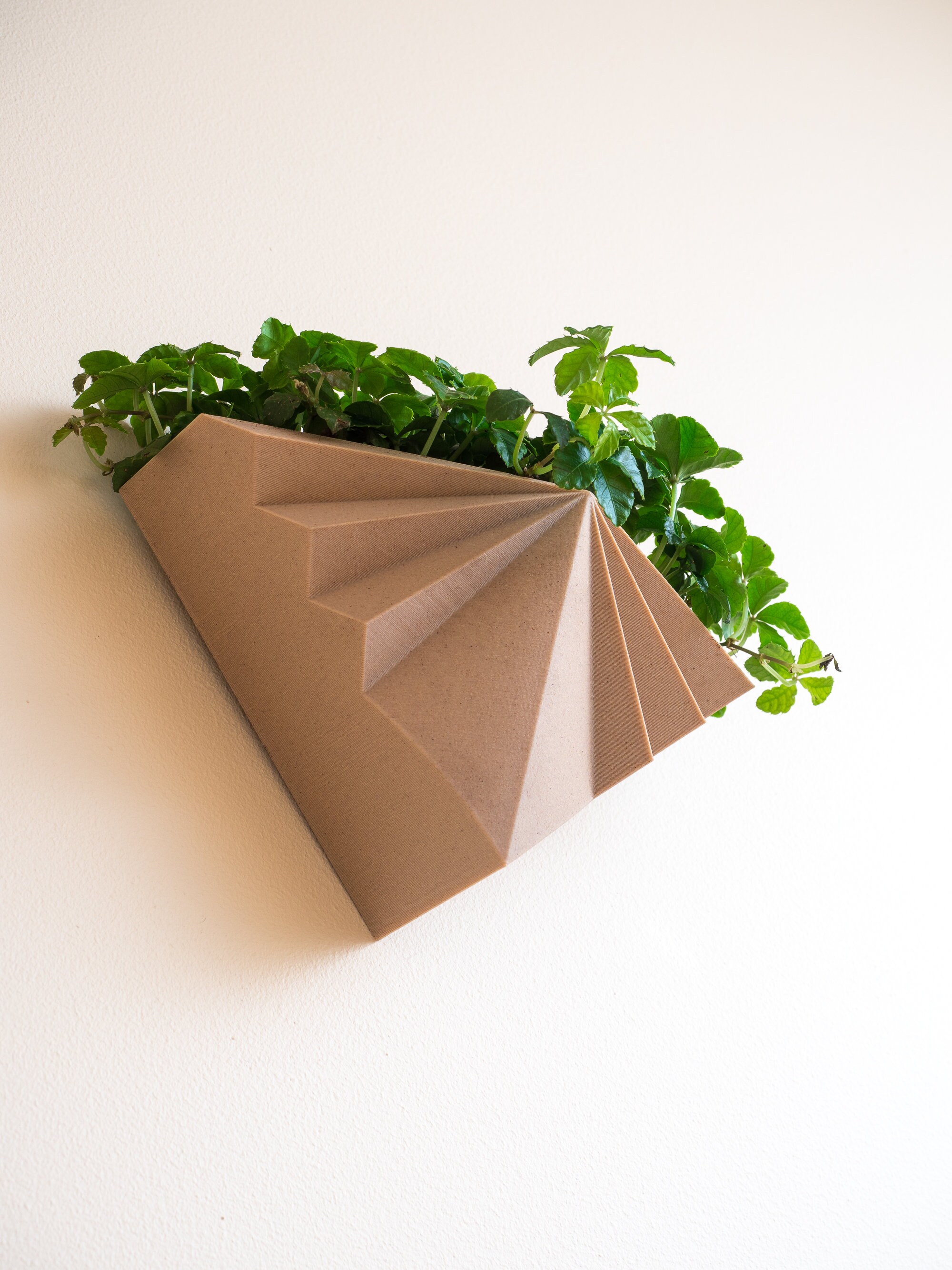 Wooden Geometric Wall Planter daisy Wall Geometric Hanging Planter for ...