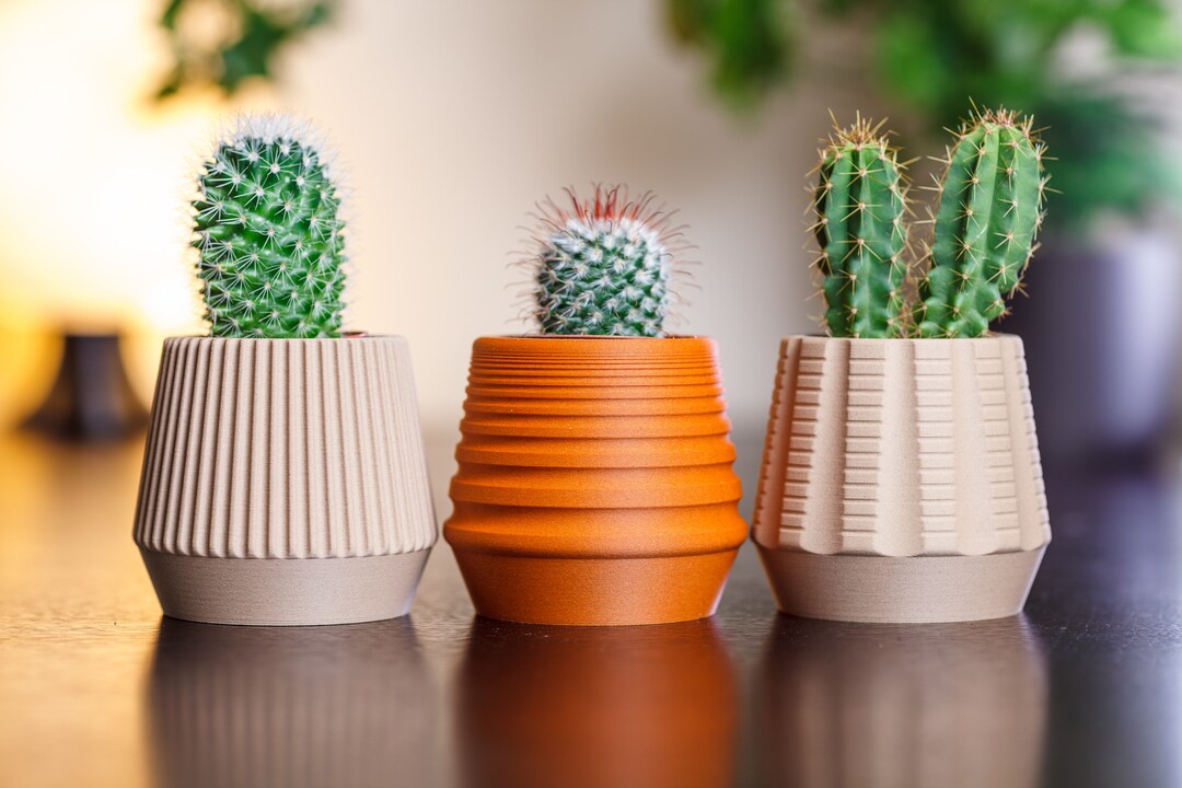 Set of 3 Small Planters #3 | Original Gift | Succulent Wooden Planter ...