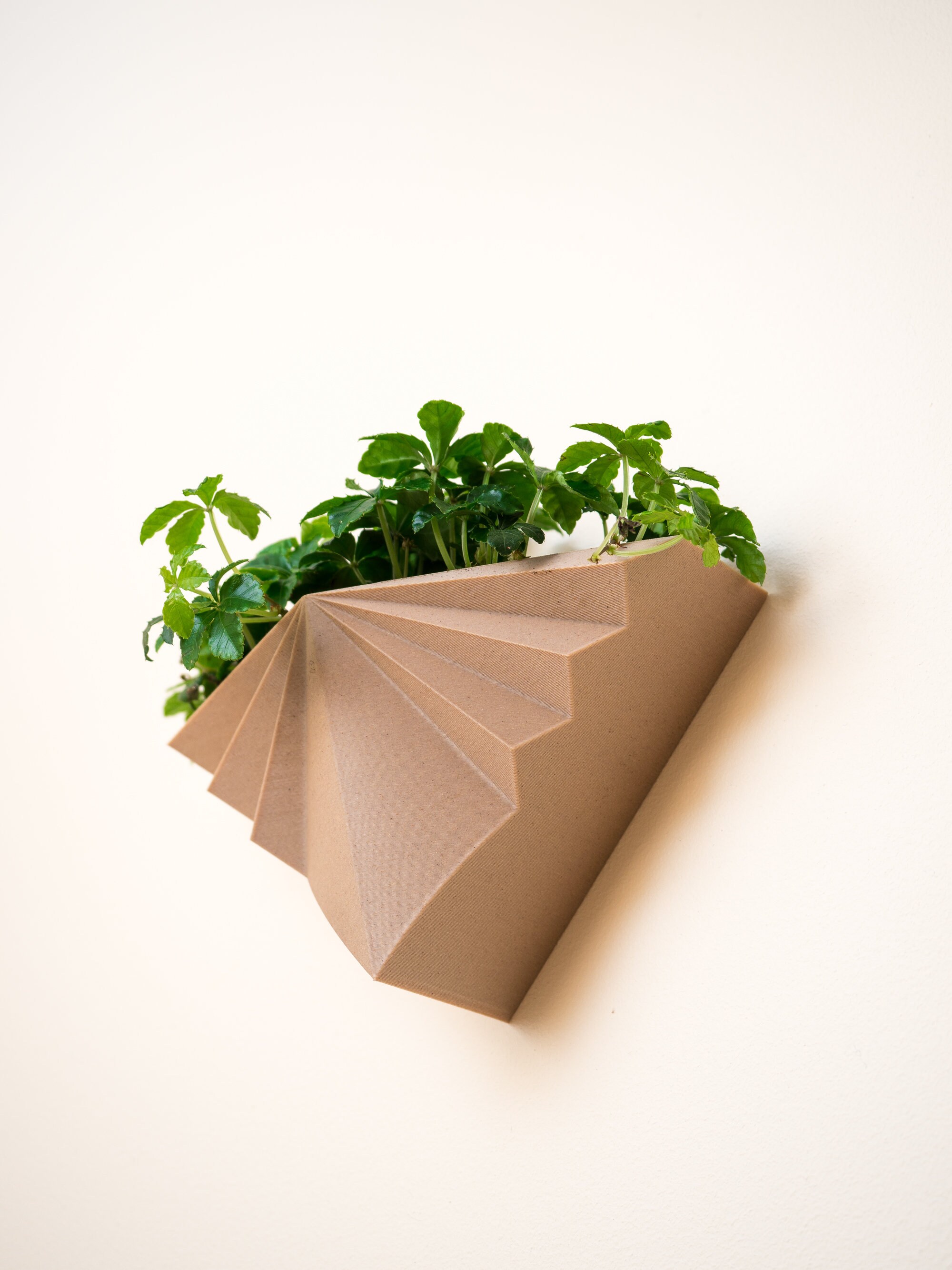 Wooden Geometric Wall Planter daisy Wall Geometric Hanging Planter for ...