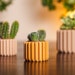 Modern Wood Planter COLUMN Minimalist Indoor Plant Pot Uniquely ...