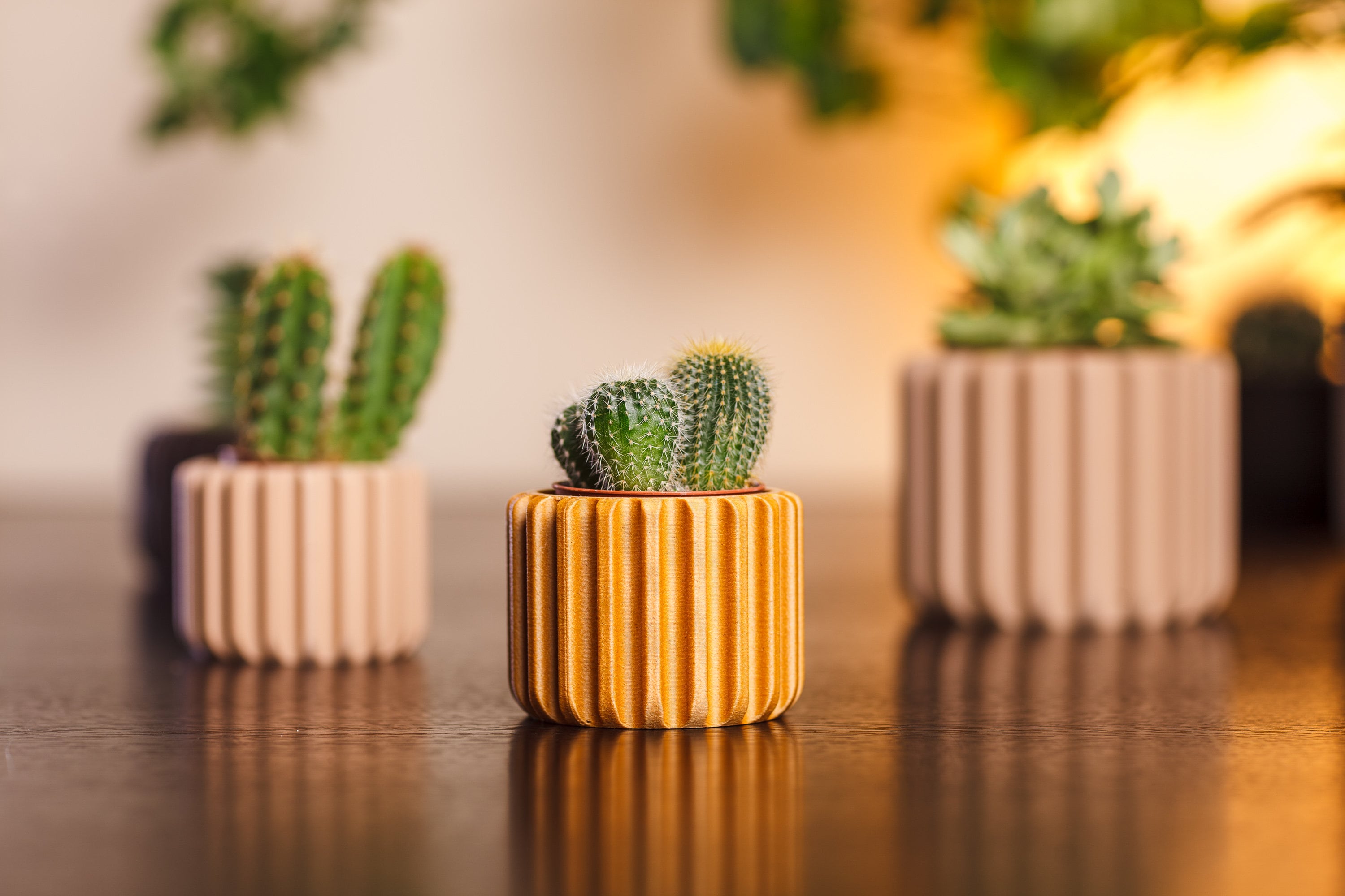 Modern Wood Planter COLUMN | Minimalist Indoor Plant Pot | Uniquely ...