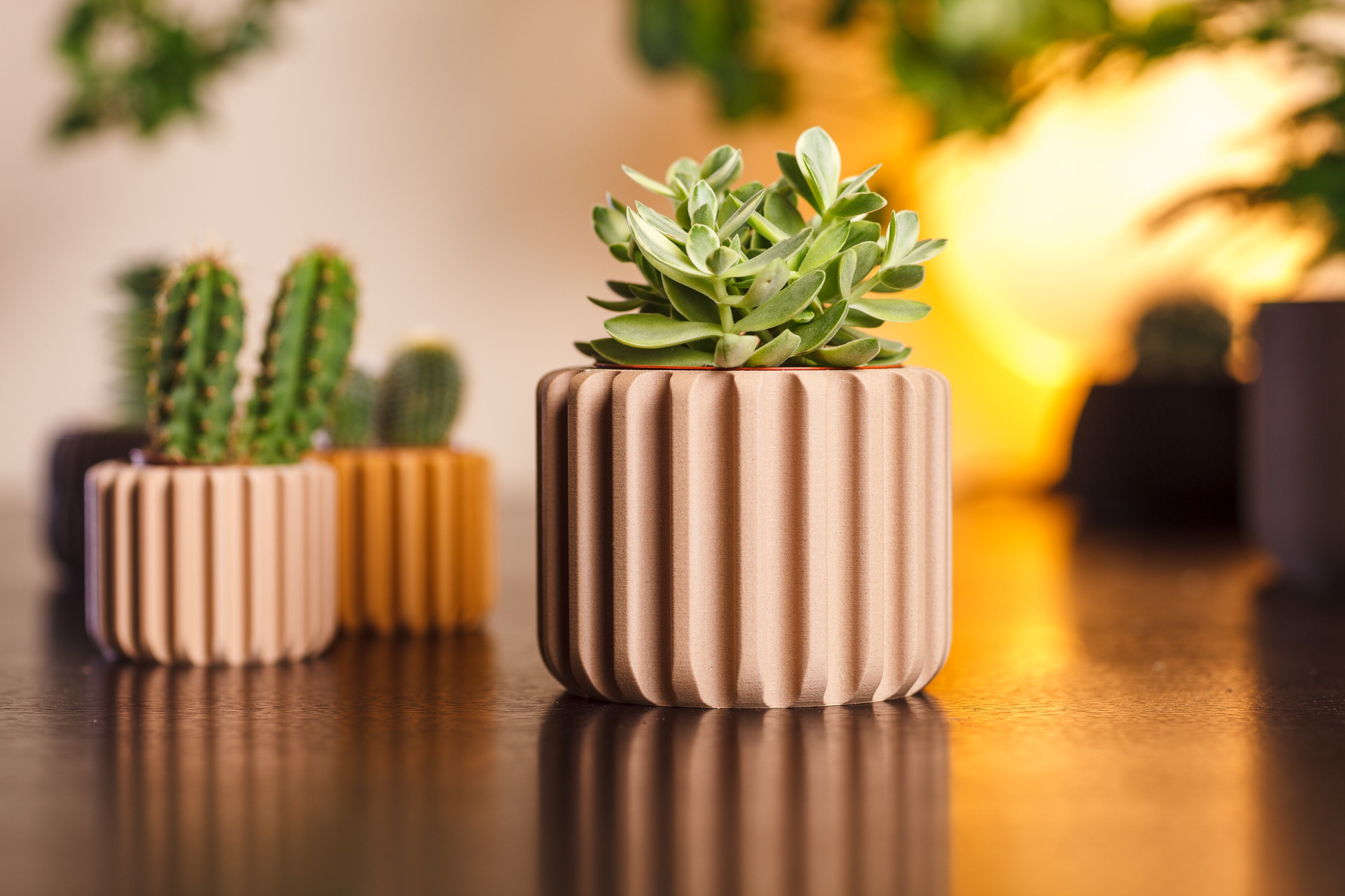 Modern Wood Planter COLUMN | Minimalist Indoor Plant Pot | Uniquely ...