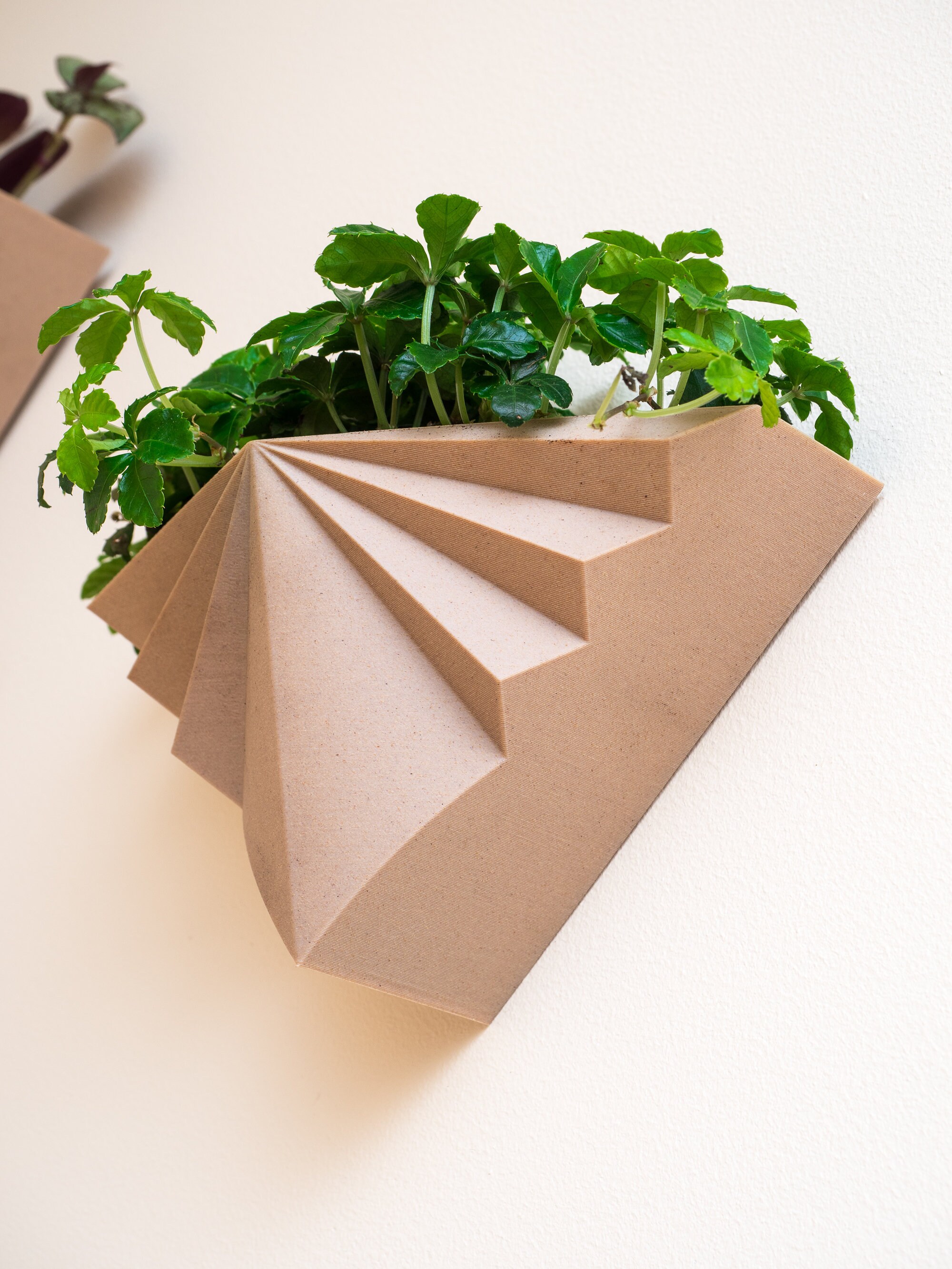 Wooden Geometric Wall Planter daisy Wall Geometric Hanging Planter for ...