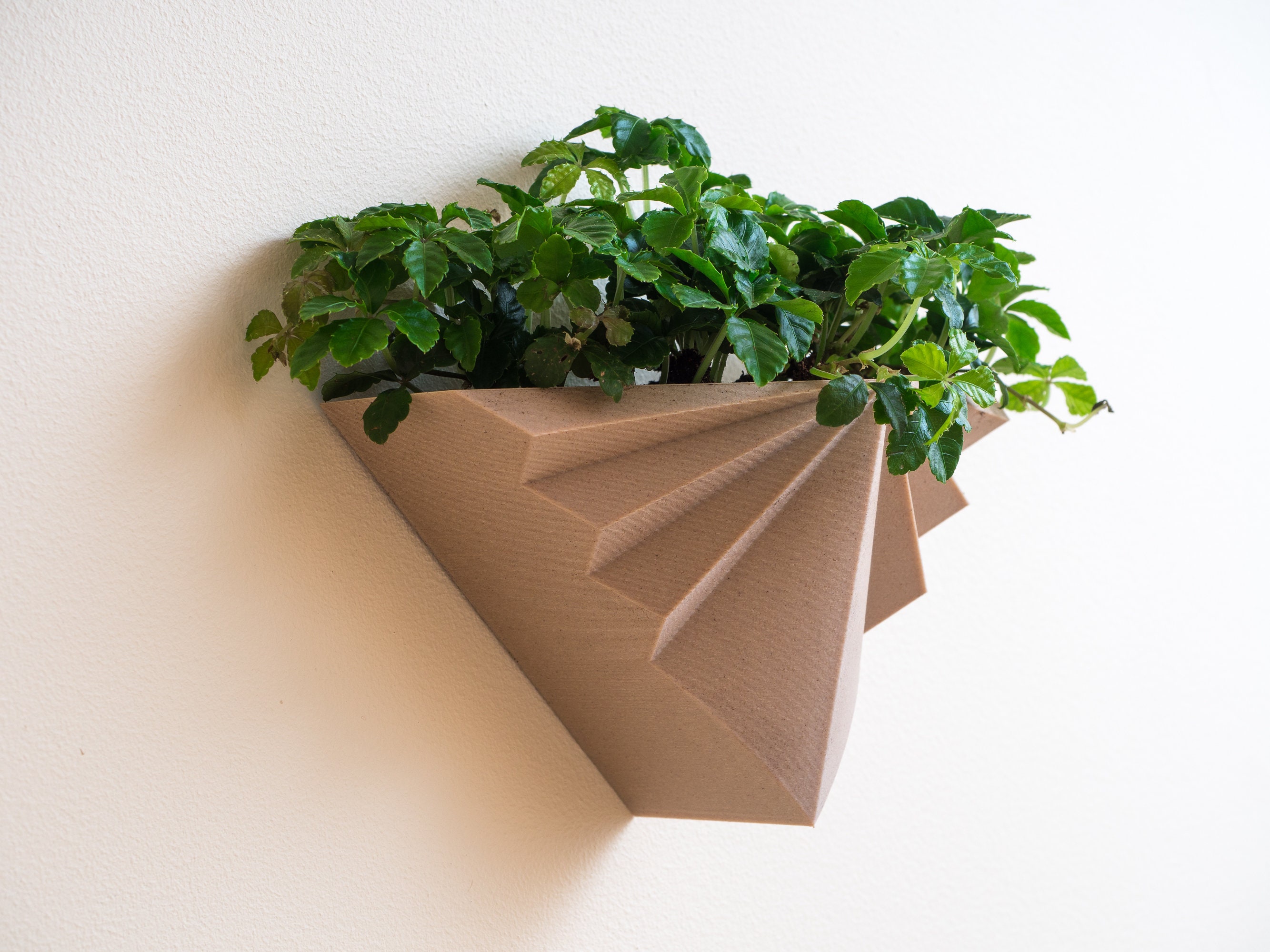 Wooden Geometric Wall Planter daisy Wall Geometric Hanging Planter for ...