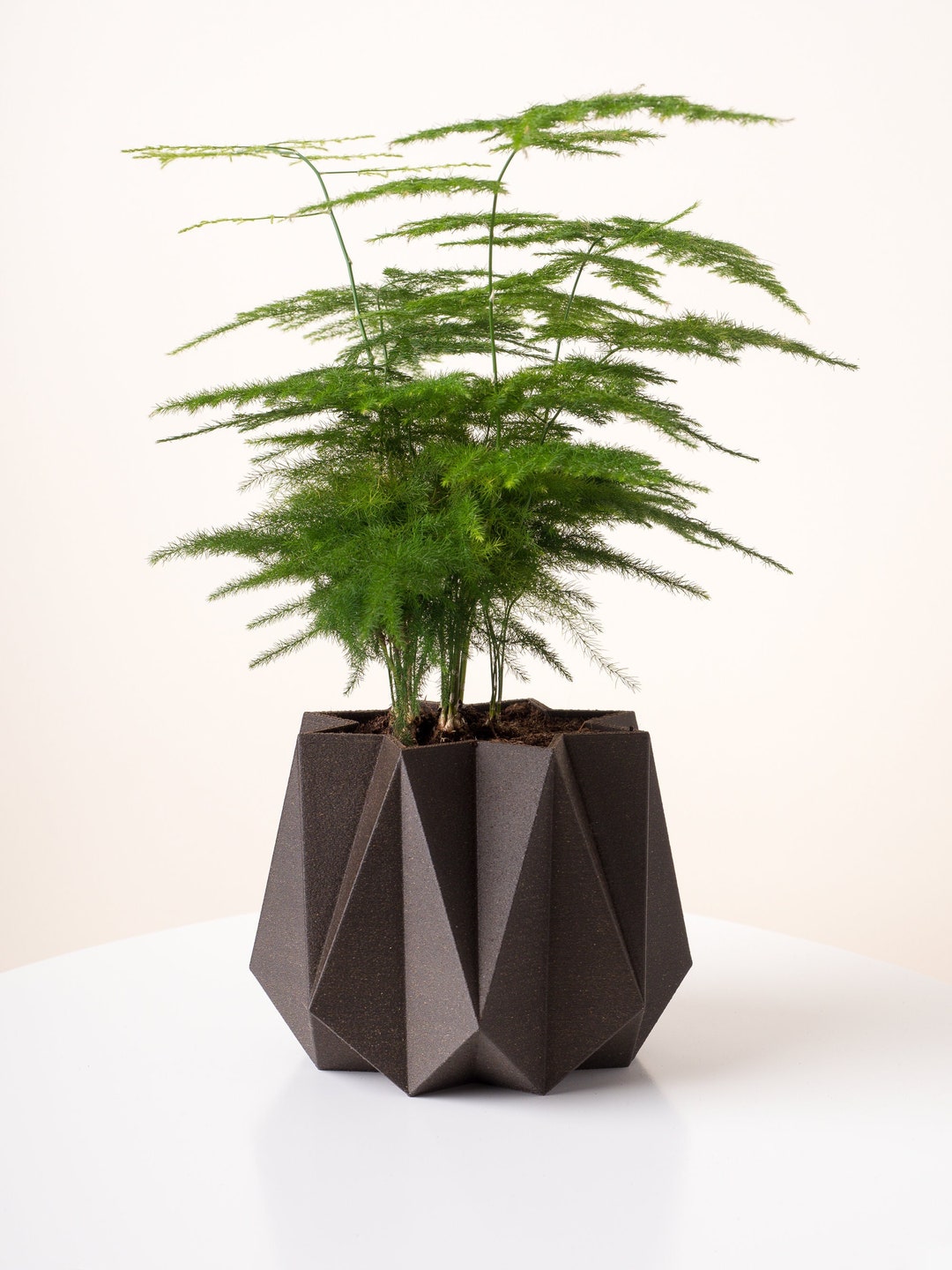 Geometric Wooden Plant Pot COSMOS | Decorative Indoor Planter | Eco ...