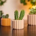 Modern Wood Planter COLUMN Minimalist Indoor Plant Pot Uniquely ...